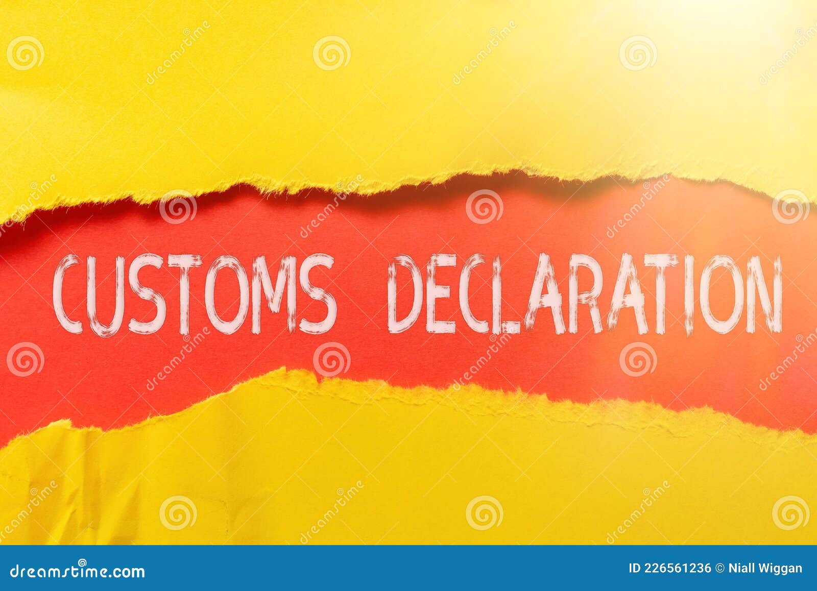 Text Showing Inspiration Customs Declaration. Word for Official ...