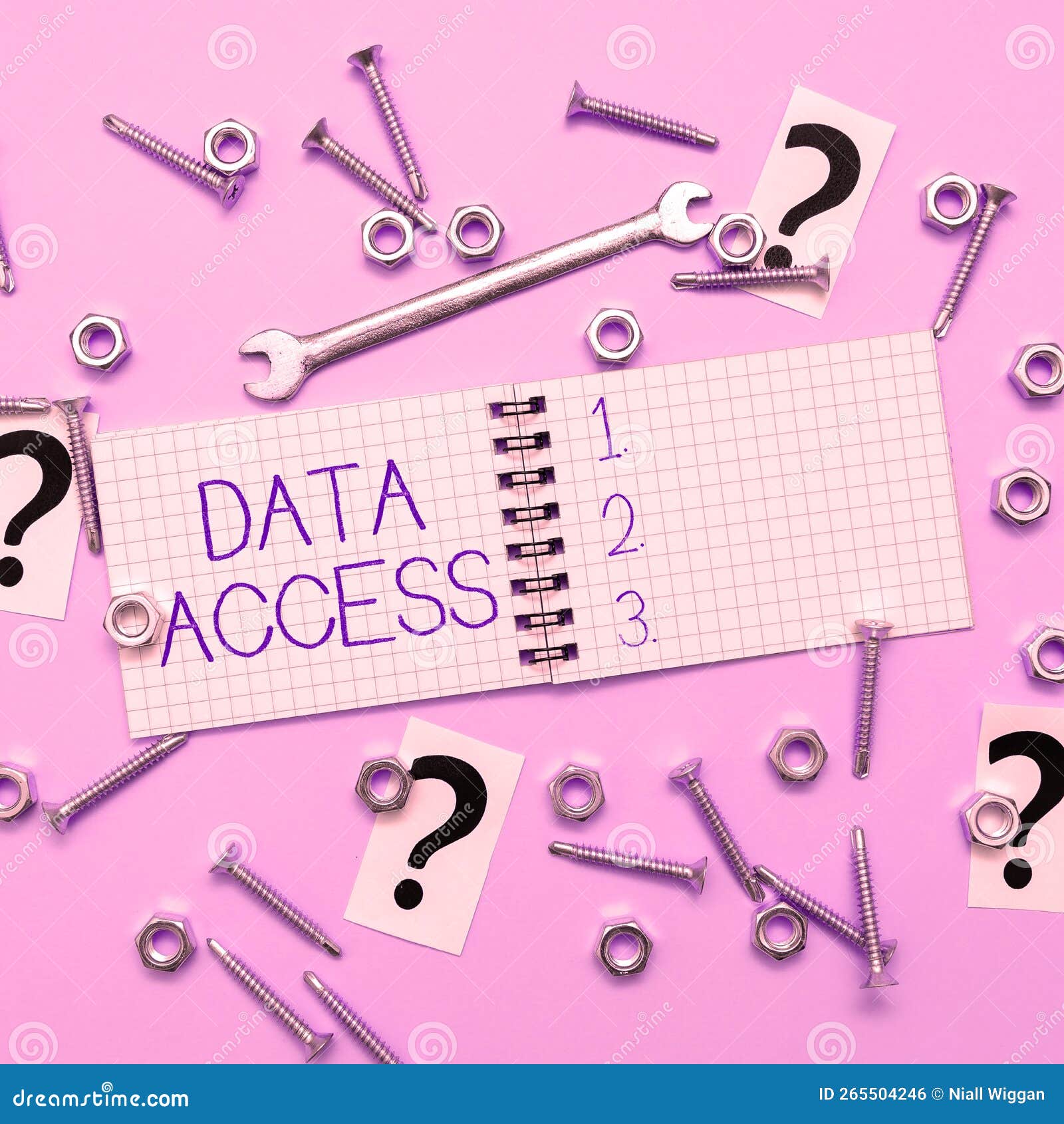 Text Showing Inspiration Data Access. Word for a User S Ability To Access Data Stored within a ...