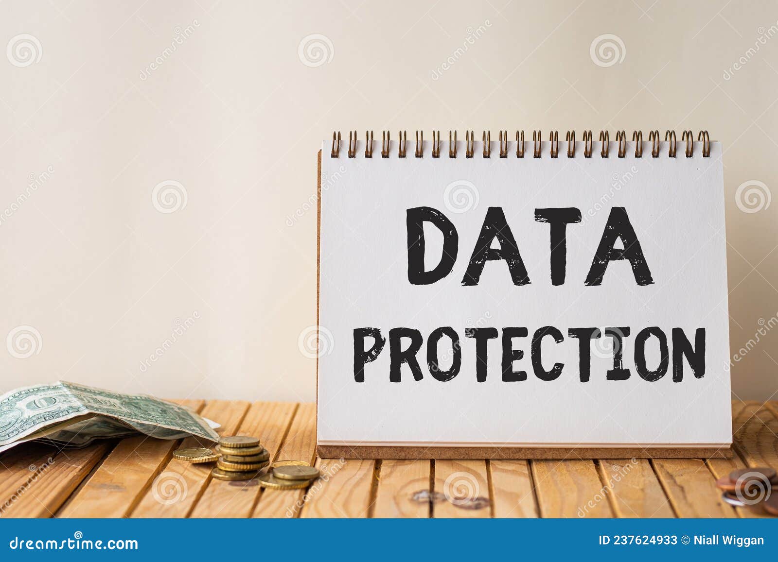 Text Showing Inspiration Data Protection. Word Written on Protect IP ...