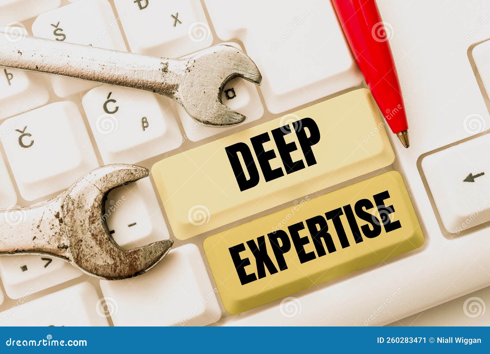 Text Showing Inspiration Deep Expertise. Conceptual Photo a Persuasive ... Text Showing Inspiration Deep Expertise. Conceptual Photo a Persuasive ...