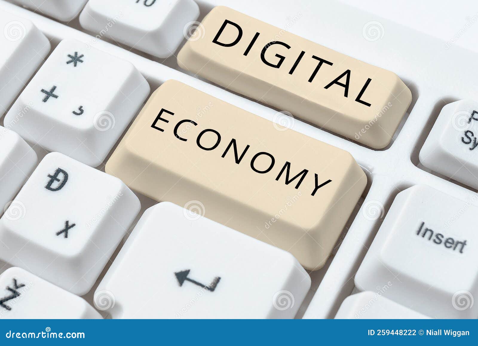 Text Showing Inspiration Digital Economy. Business Overview Advancement ... Text Showing Inspiration Digital Economy. Business Overview Advancement ...
