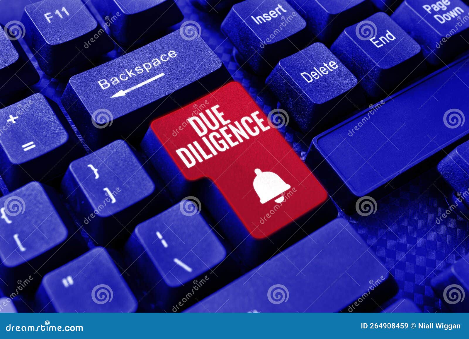 Text Showing Inspiration Due Diligence. Business Idea Avoid Harming ... Text Showing Inspiration Due Diligence. Business Idea Avoid Harming ...