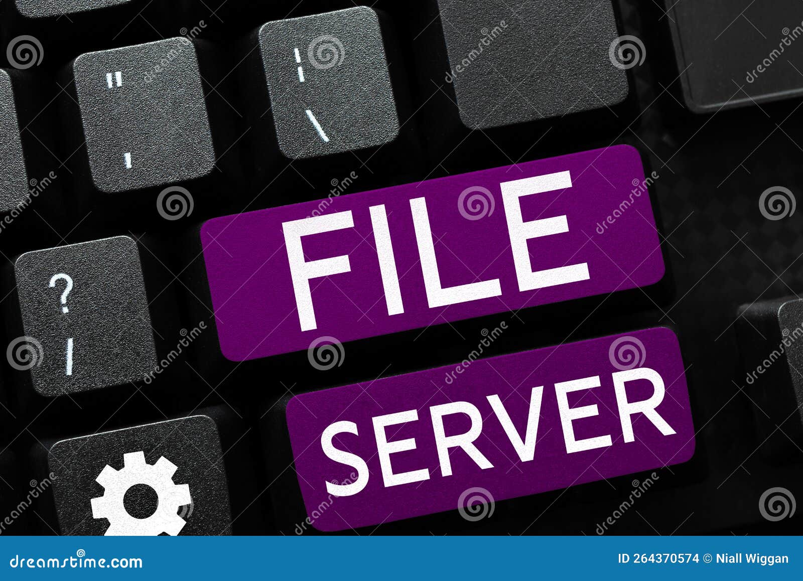 Text Showing Inspiration File Server. Word Written on Device Which Controls Access To Separately ...