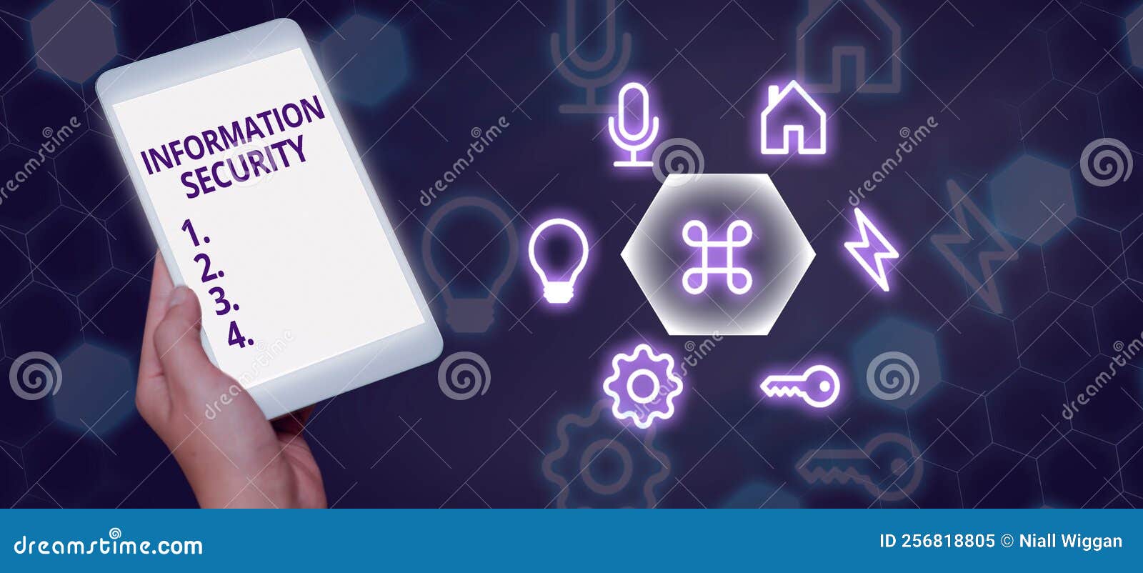 Text Showing Inspiration Information Security. Concept Meaning INFOSEC ...