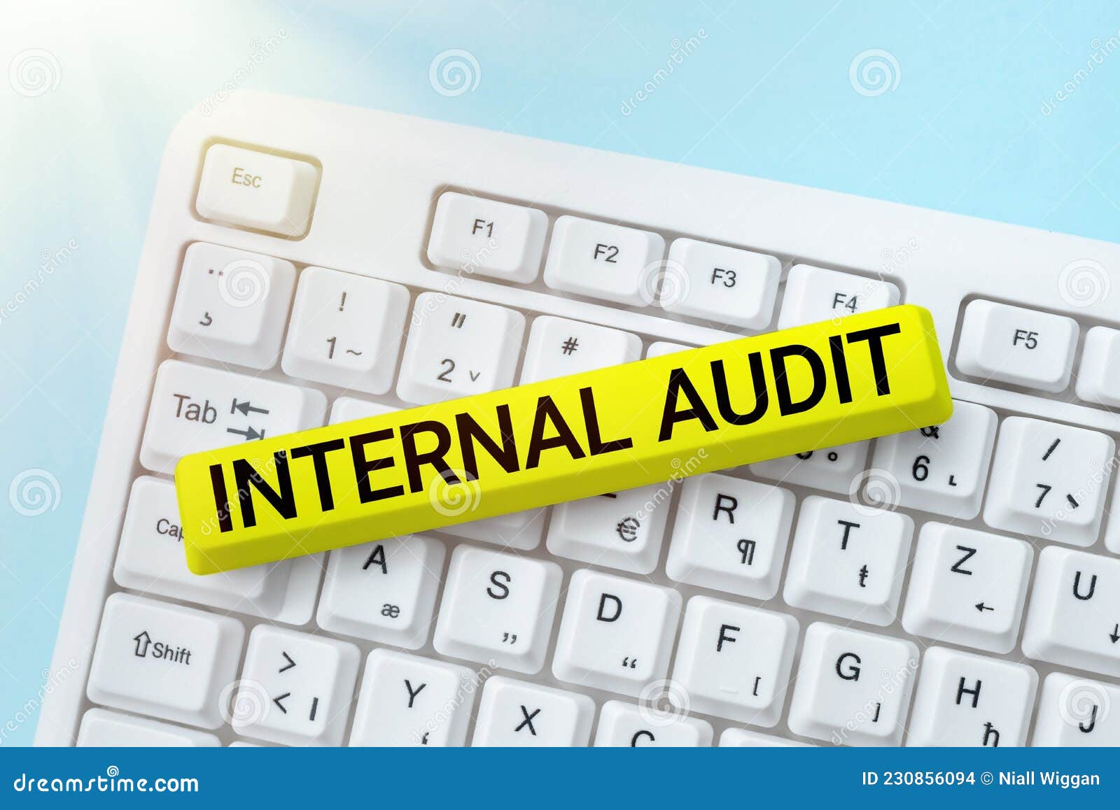 Text Showing Inspiration Internal Audit. Word for Evaluates the ...