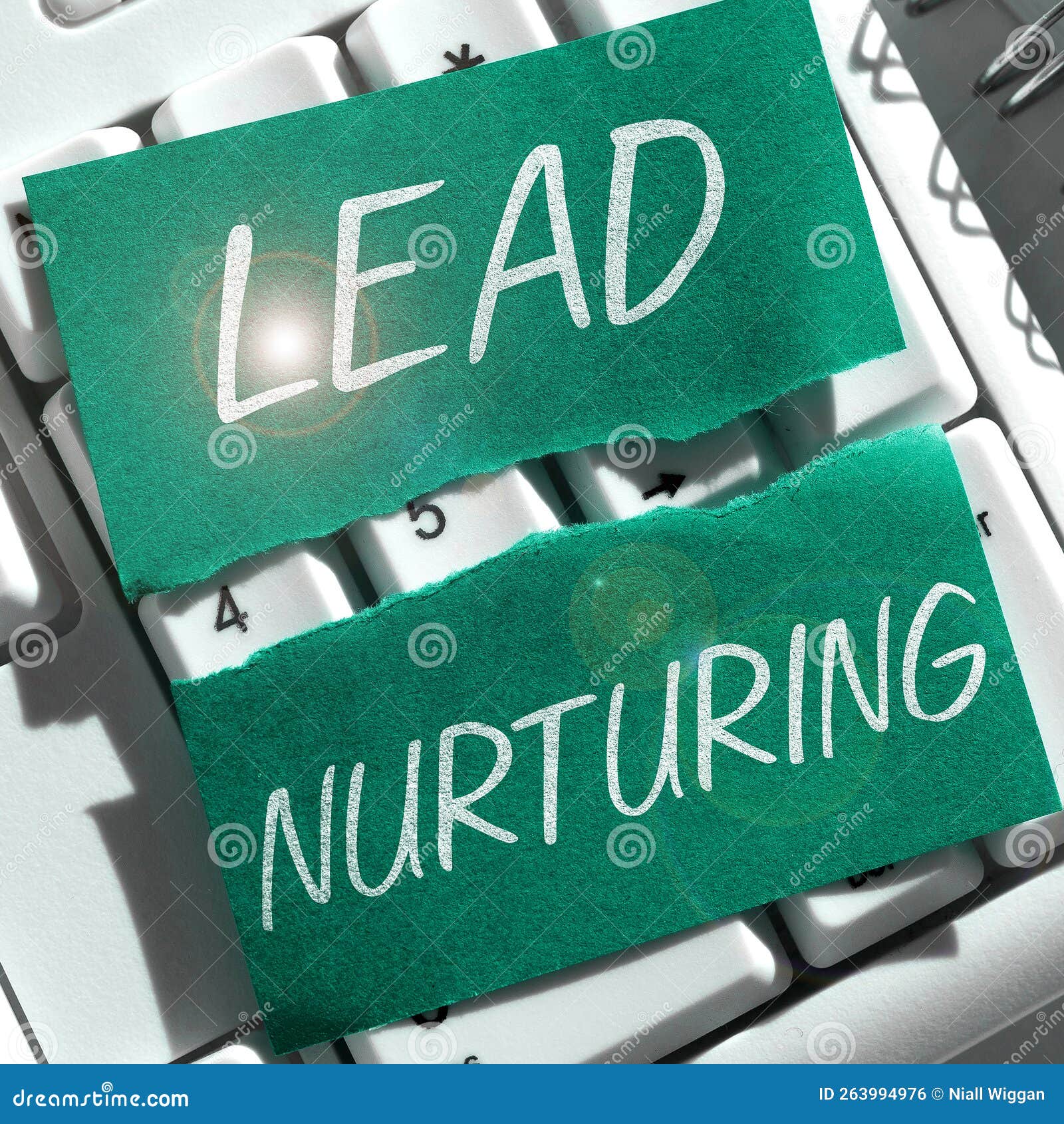 Text Sign Showing Lead Nurturing. Business Approach Method of Building ... Text Sign Showing Lead Nurturing. Business Approach Method of Building ...