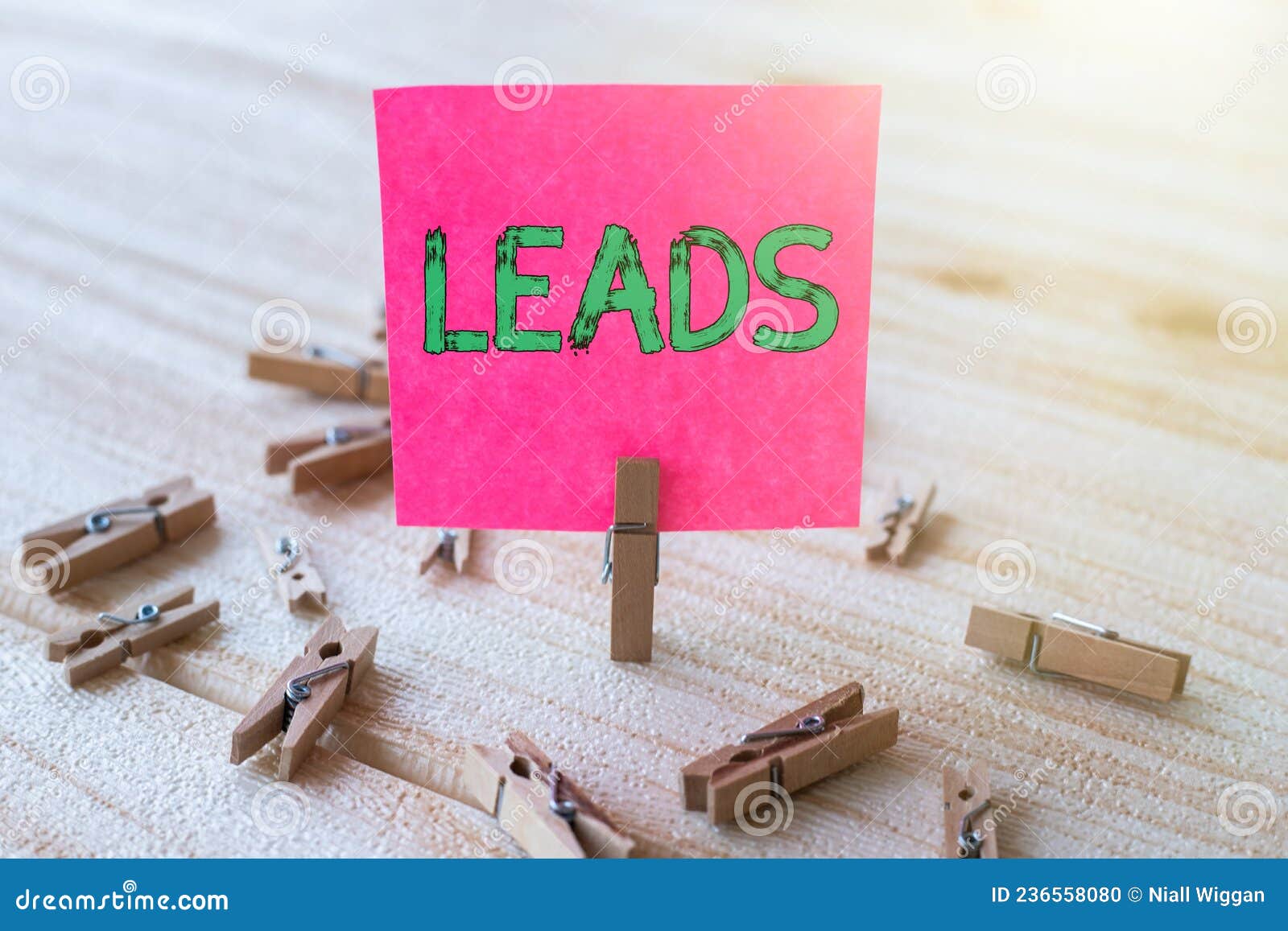 Conceptual Display Leads. Business Concept Route or Means of Access To ... Conceptual Display Leads. Business Concept Route or Means of Access To ...