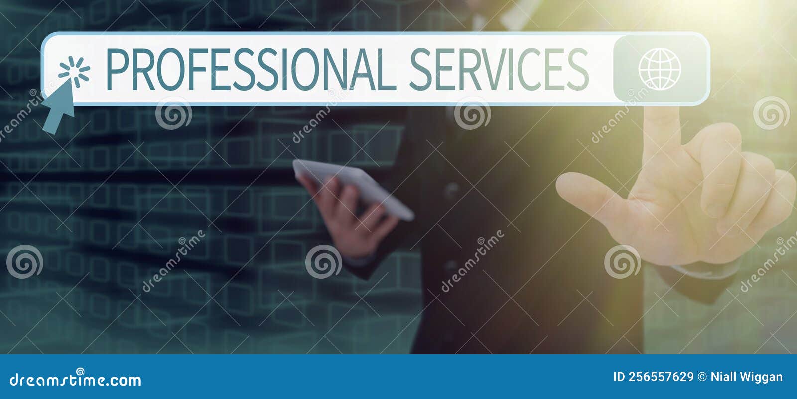 Text Showing Inspiration Professional Services. Business Approach Offer ...