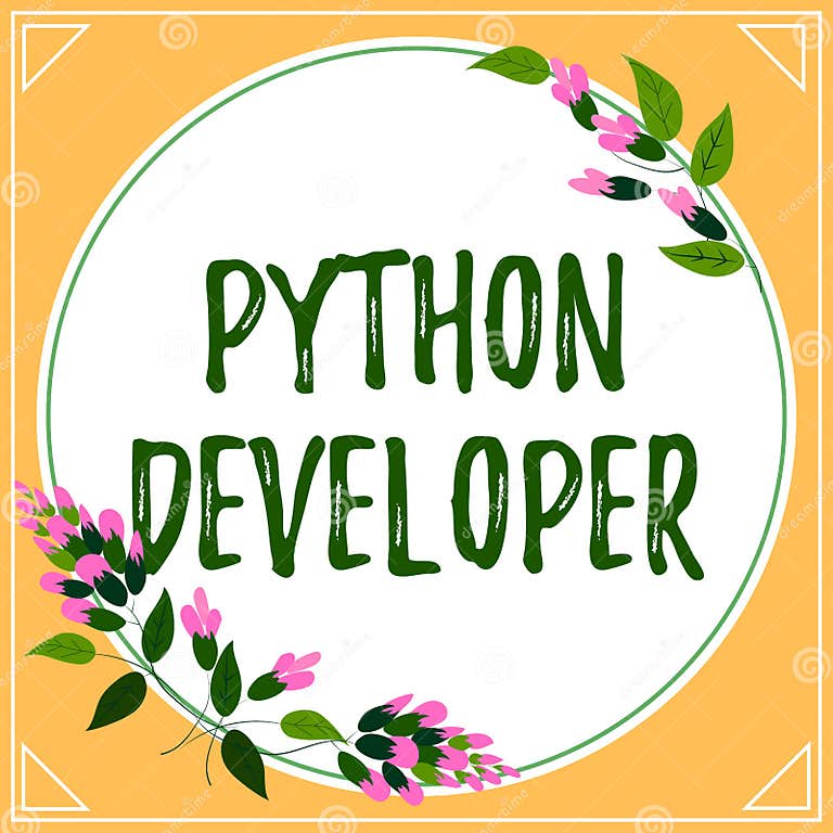 Text Showing Inspiration Python Developer. Word Written on Responsible for Writing Serverside ...