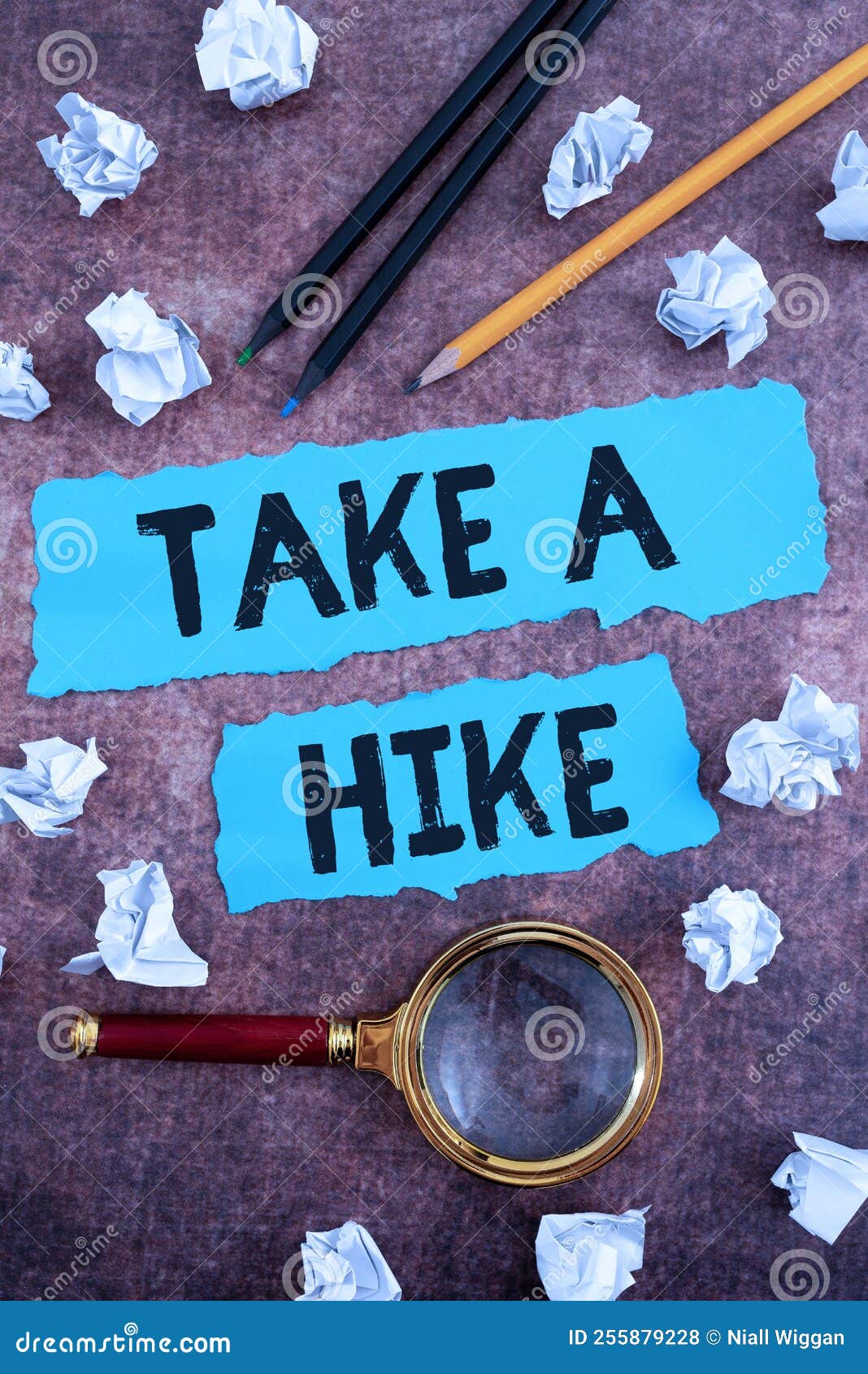 Text Showing Inspiration Take a Hike. Word for Go on an Adventure ... Text Showing Inspiration Take a Hike. Word for Go on an Adventure ...