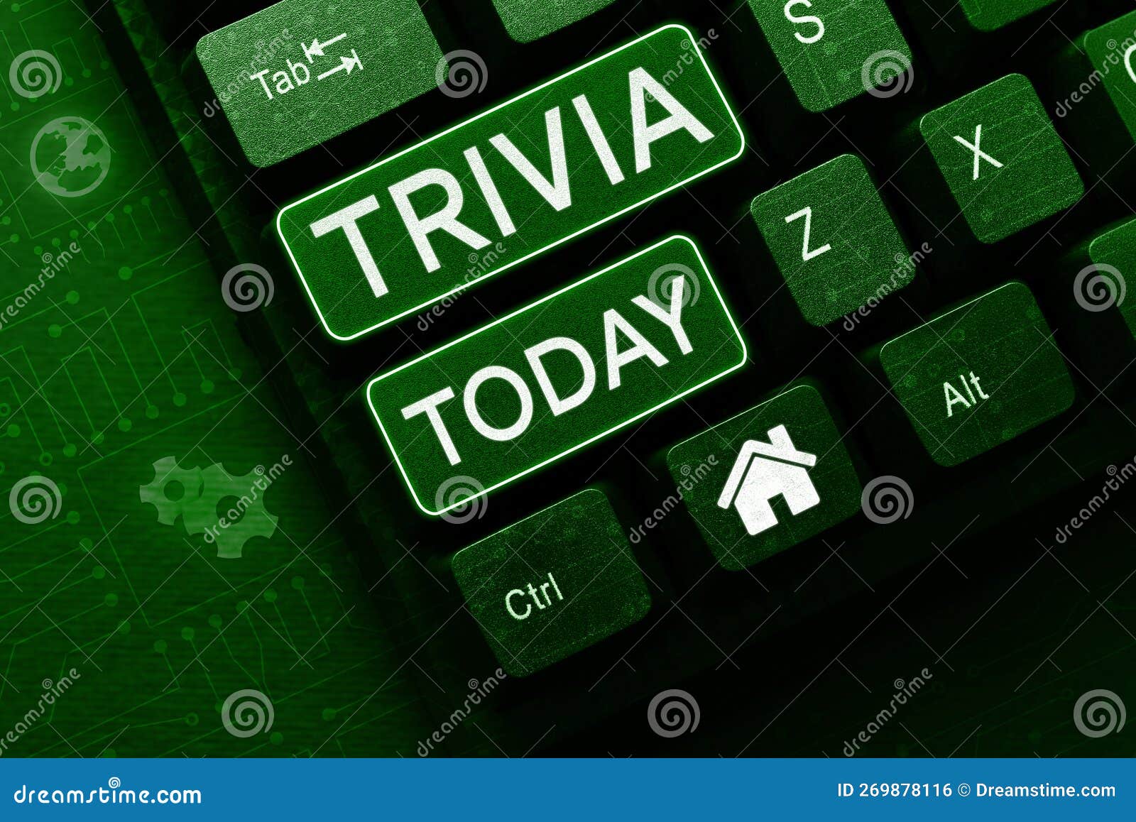 Text Showing Inspiration Trivia. Word for Details Considerations Pieces ... Text Showing Inspiration Trivia. Word for Details Considerations Pieces ...