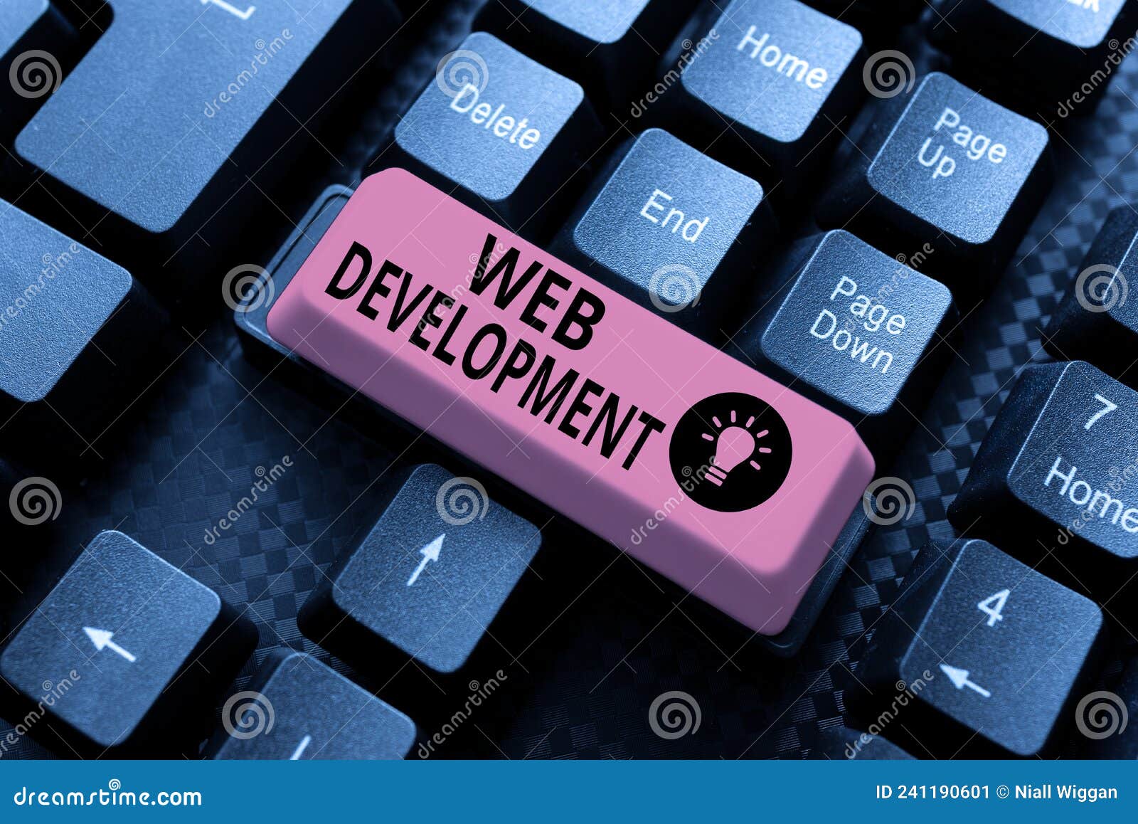 Text Showing Inspiration Web Development. Concept Meaning Web ...