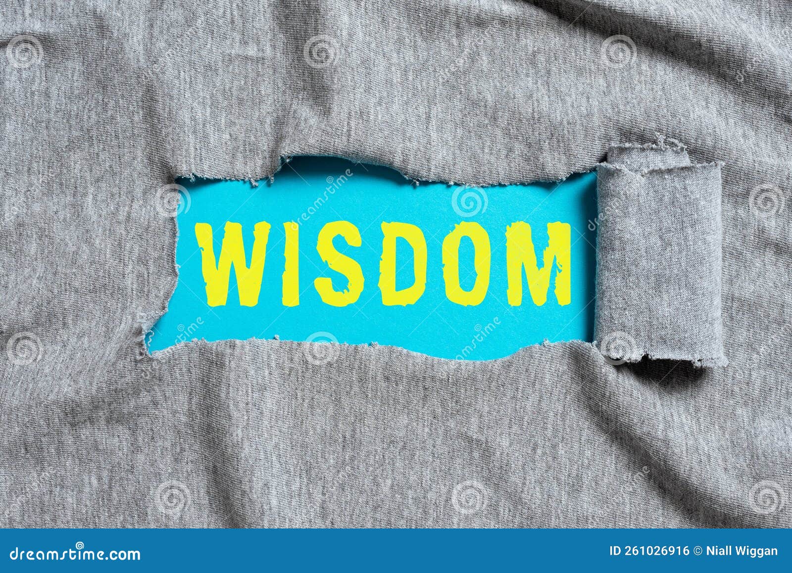 Conceptual Caption Wisdom. Word Written on Body of Knowledge and ...