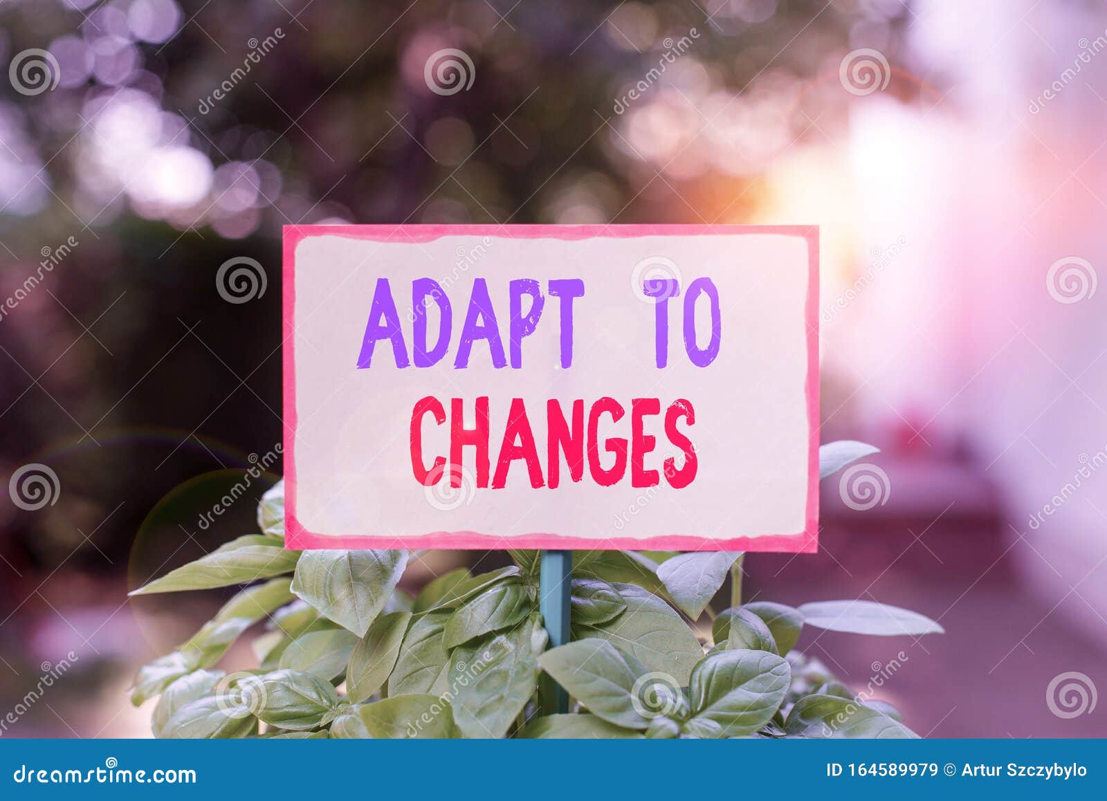 Text Sign Showing Adapt To Changes. Conceptual Photo Embrace New ... Text Sign Showing Adapt To Changes. Conceptual Photo Embrace New ...