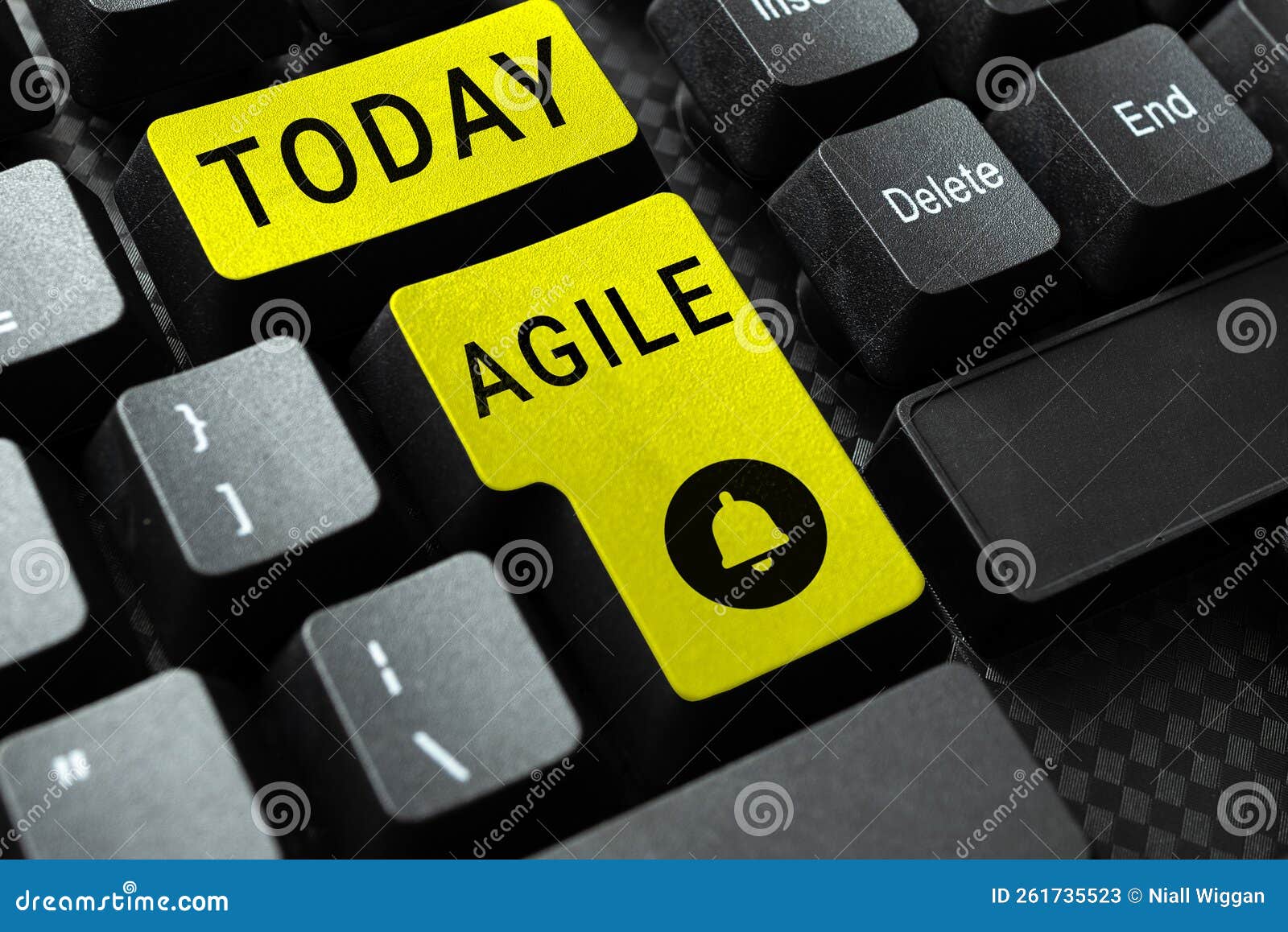 Text Sign Showing Agile Business Overview Iterative Approach To Software Delivery Builds