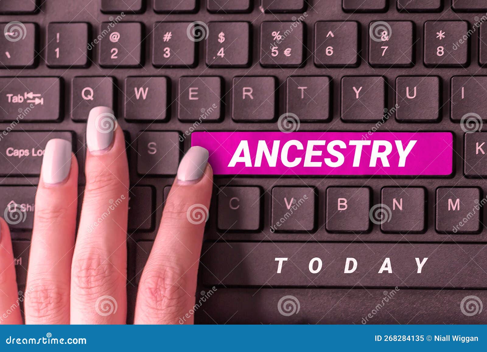 Text Sign Showing Ancestry. Conceptual Photo the History or ...