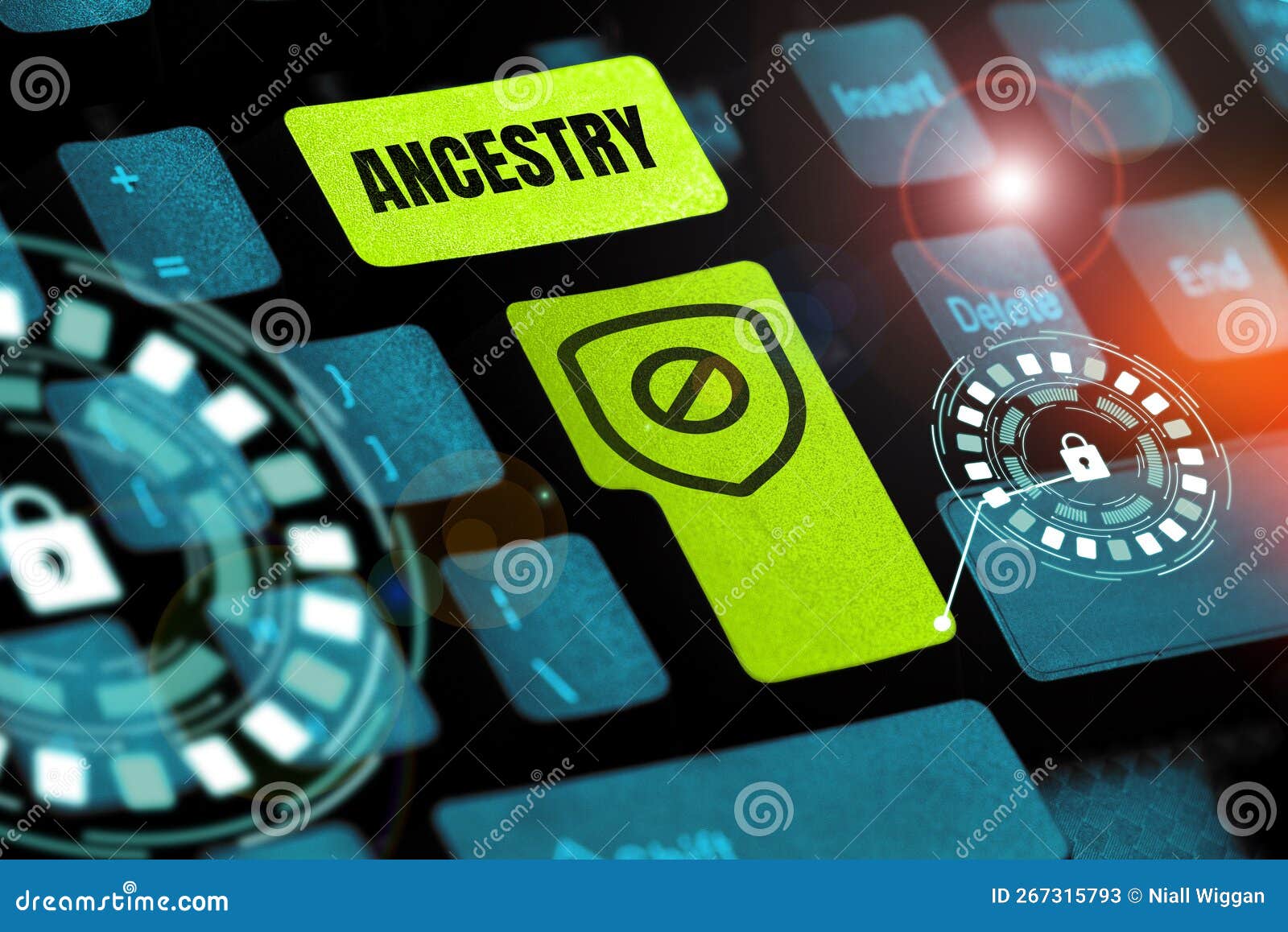 Text Sign Showing Ancestry. Word for the History or Developmental ...