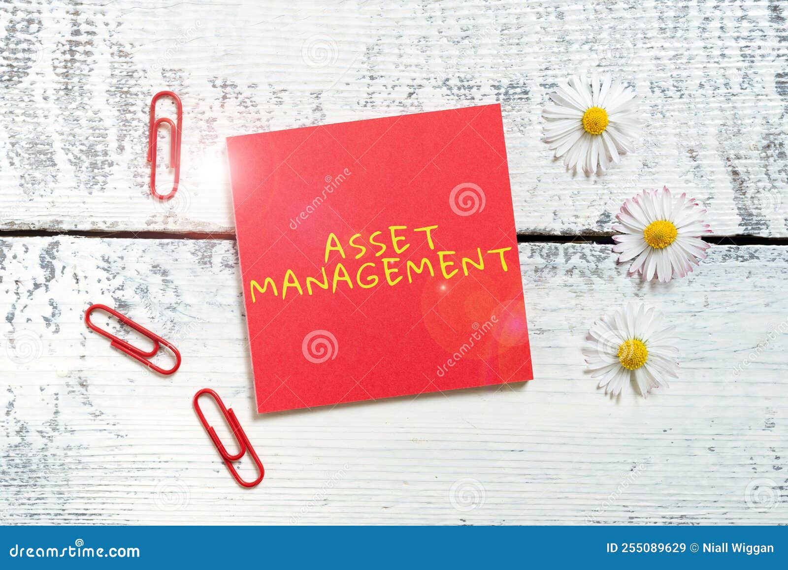 Text Sign Showing Asset Managementsystematic Process of Operating and ...