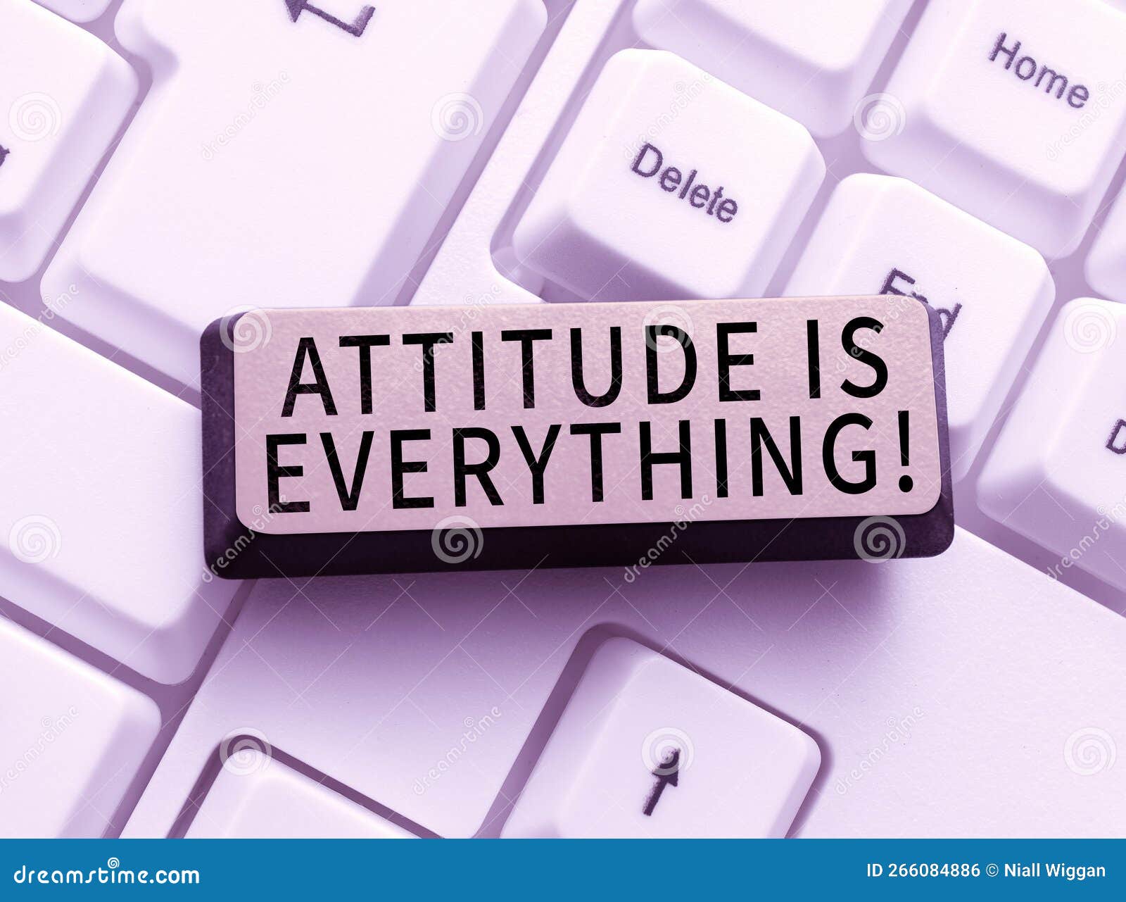 Text Sign Showing Attitude is Everything. Word for Personal Outlook ... Text Sign Showing Attitude is Everything. Word for Personal Outlook ...