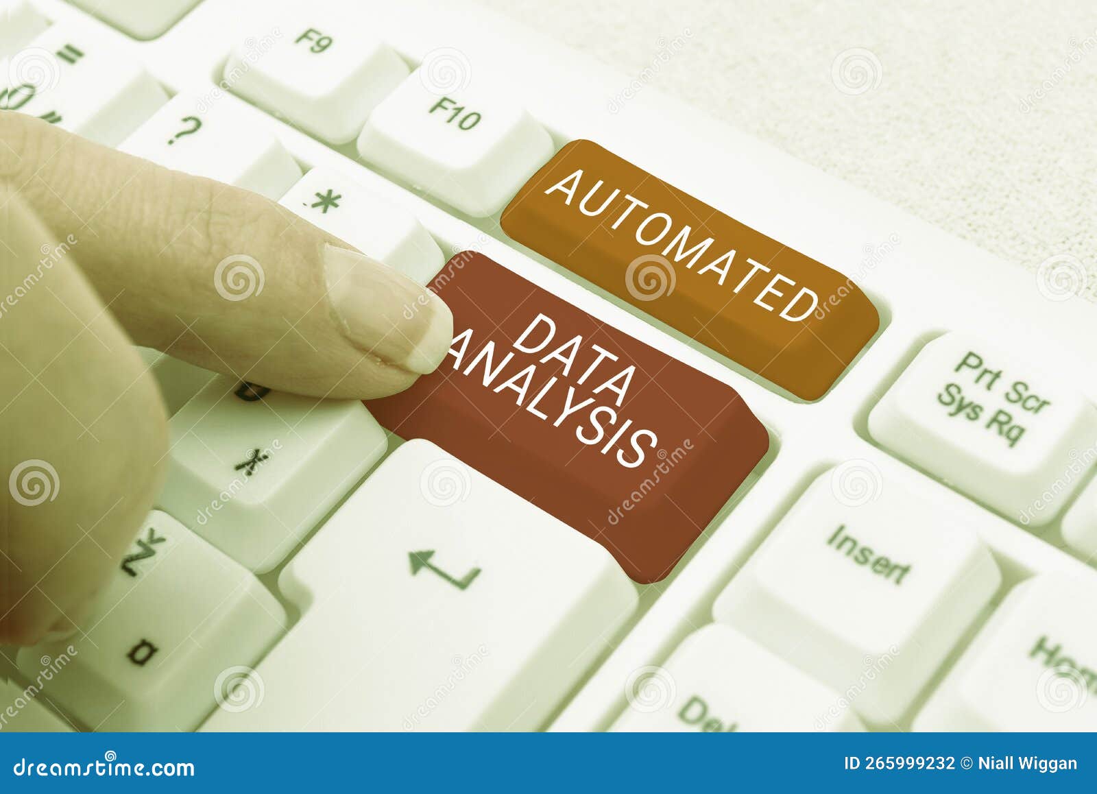 Text Sign Showing Automated Data Analysis. Business Idea Artificial ... Text Sign Showing Automated Data Analysis. Business Idea Artificial ...