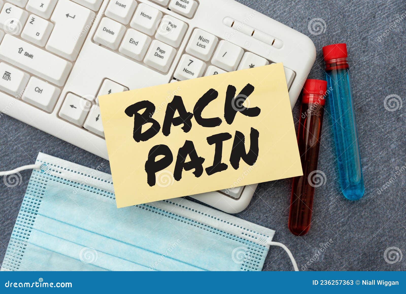 Text Sign Showing Back Pain. Internet Concept Soreness of the Bones ...