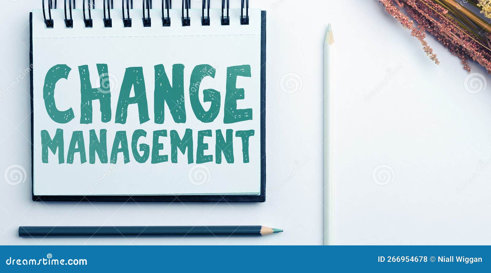 Text Sign Showing Change Management. Word for Replacement of Leadership ... Text Sign Showing Change Management. Word for Replacement of Leadership ...