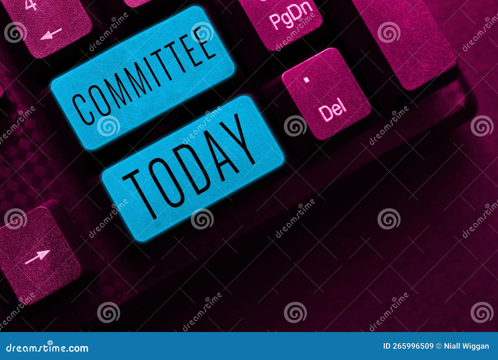 Text Sign Showing Committee. Concept Meaning Group of People Appointed ...