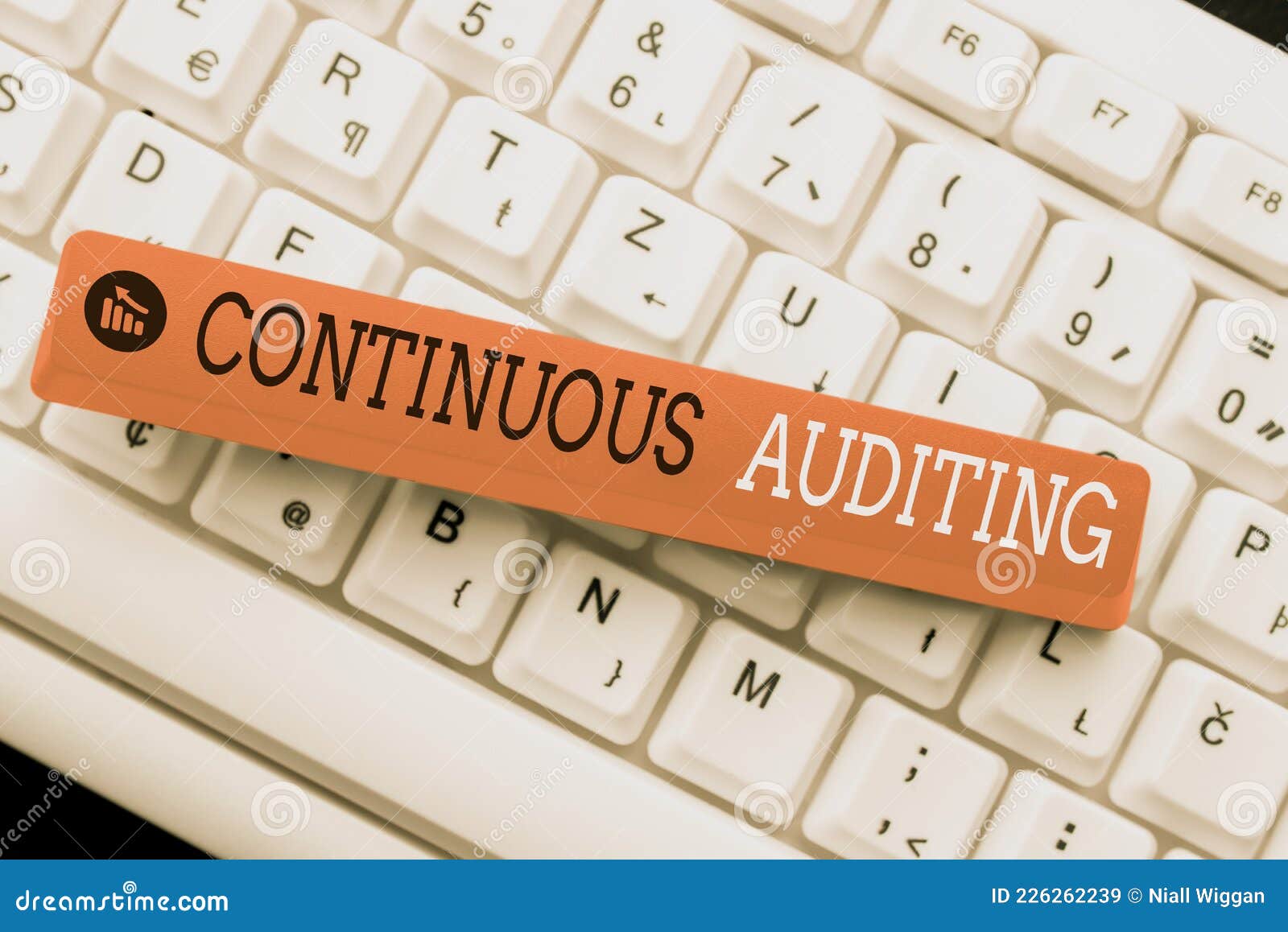 Text Sign Showing Continuous Auditing. Business Idea Internal Process ...