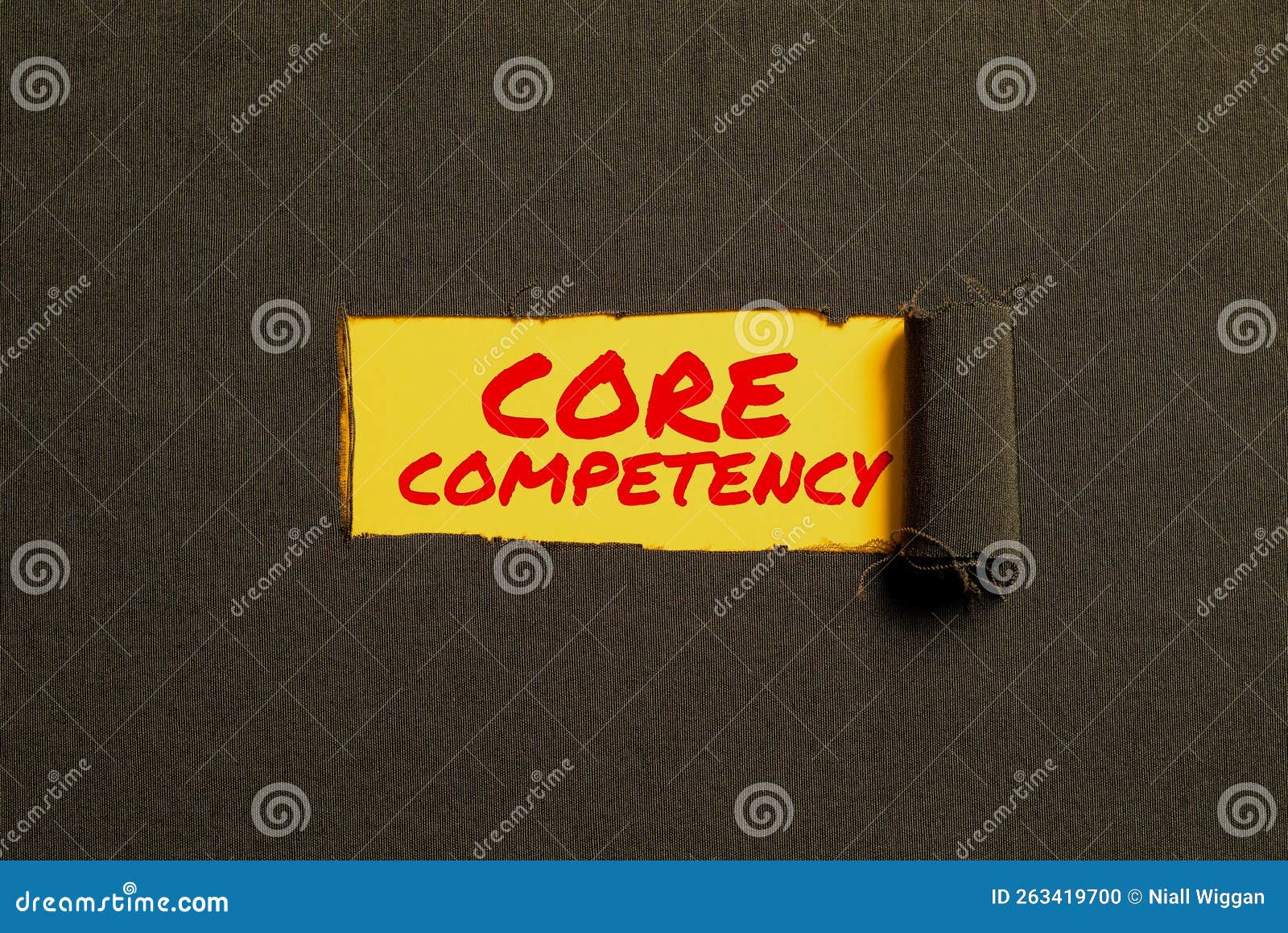 Text Sign Showing Core Competency. Business Idea Harmonized Combination ...