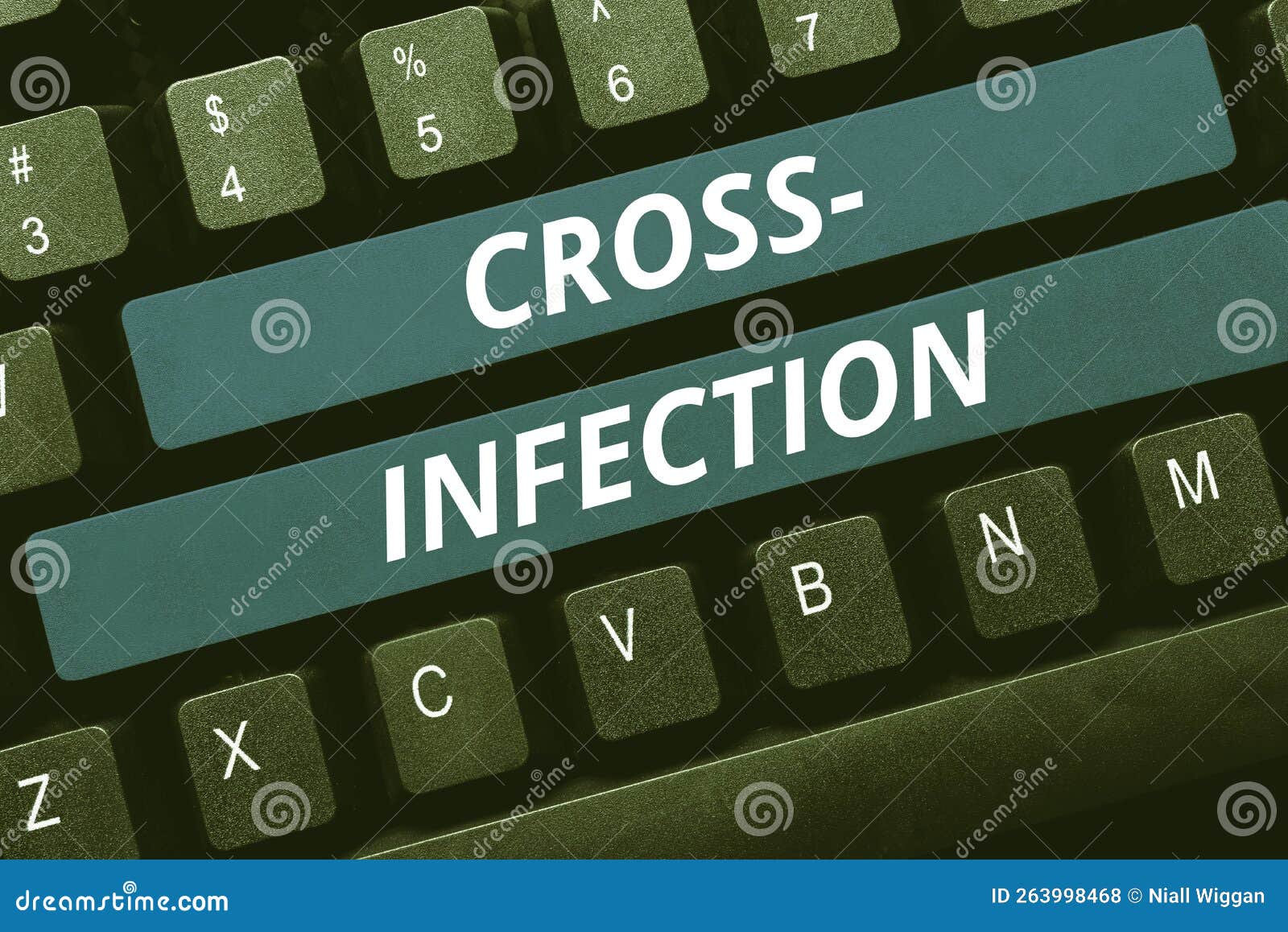 Text Sign Showing Cross Infection. Internet Concept Disease-causing ... Text Sign Showing Cross Infection. Internet Concept Disease-causing ...