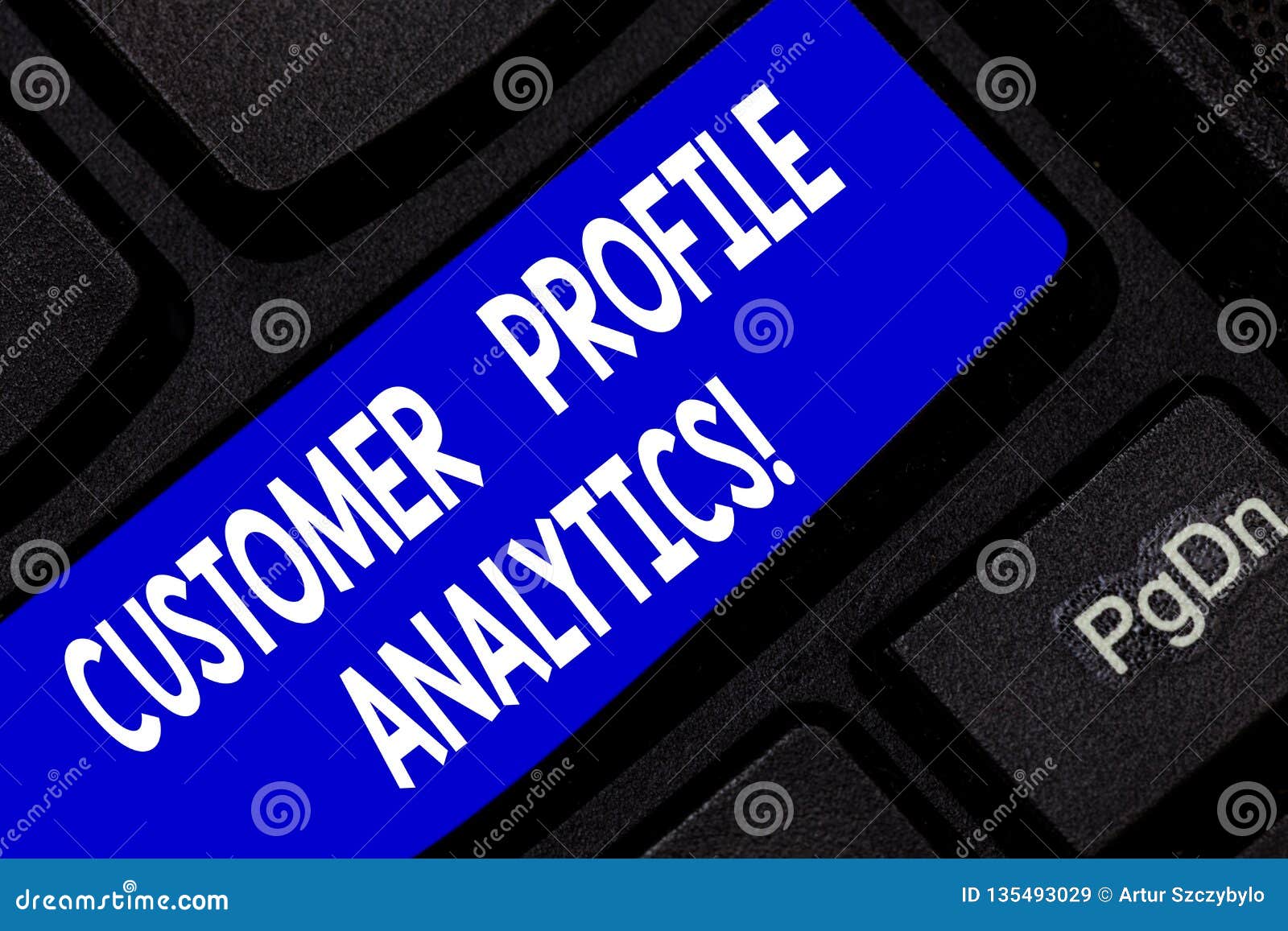 Text Sign Showing Customer Profile Analytics. Conceptual Photo Customer ...
