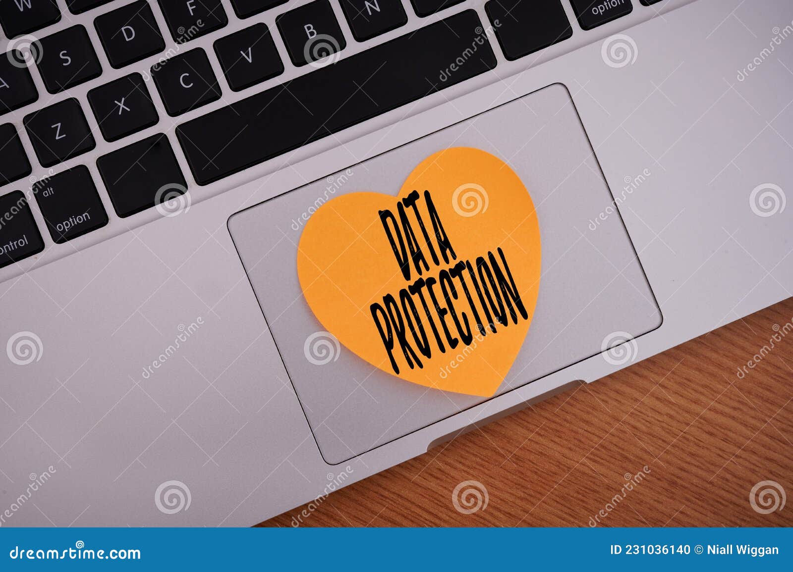 Text Sign Showing Data Protection. Business Showcase Protect IP ...