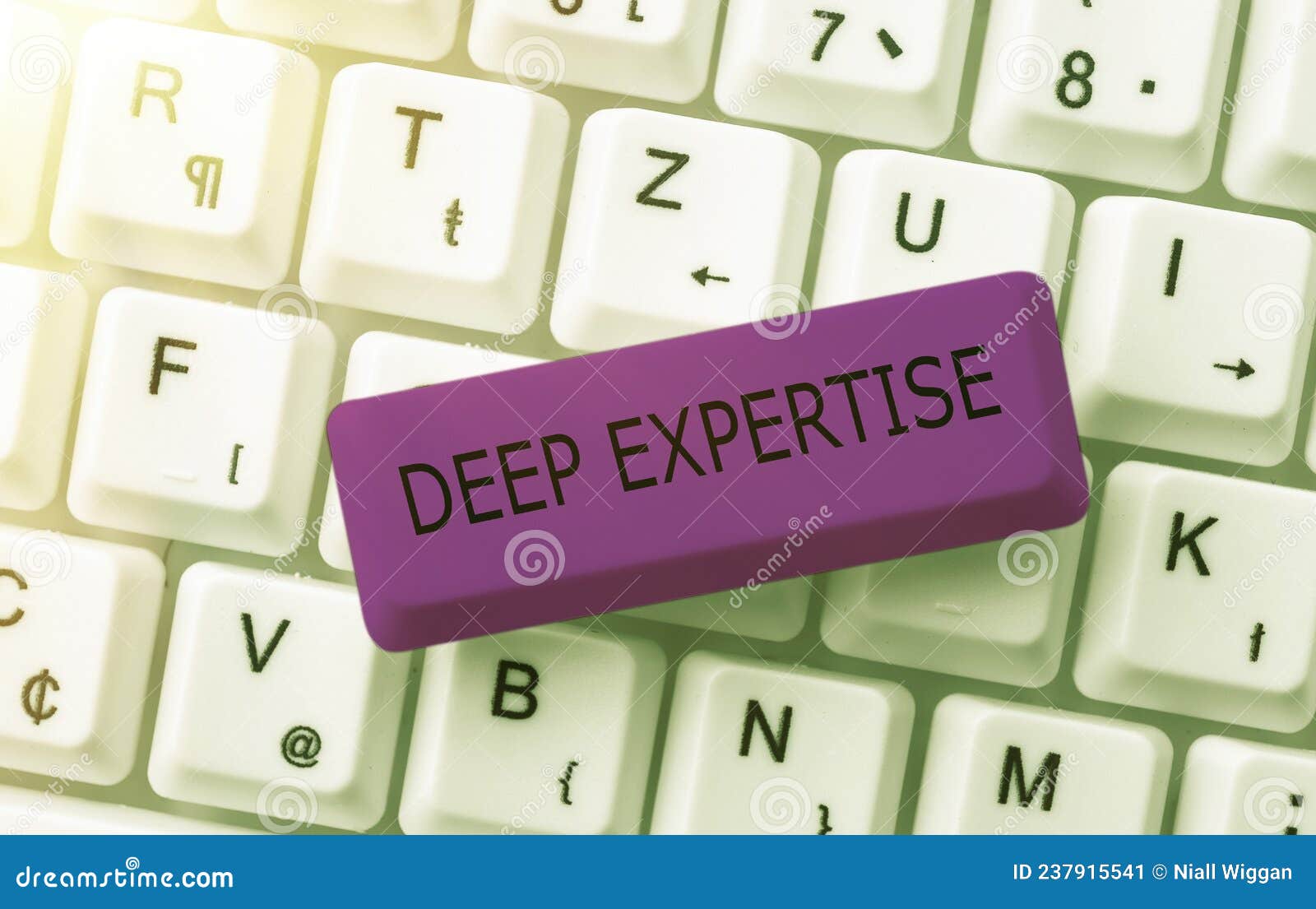 Conceptual Caption Deep Expertise. Business Approach Great Skill or ...