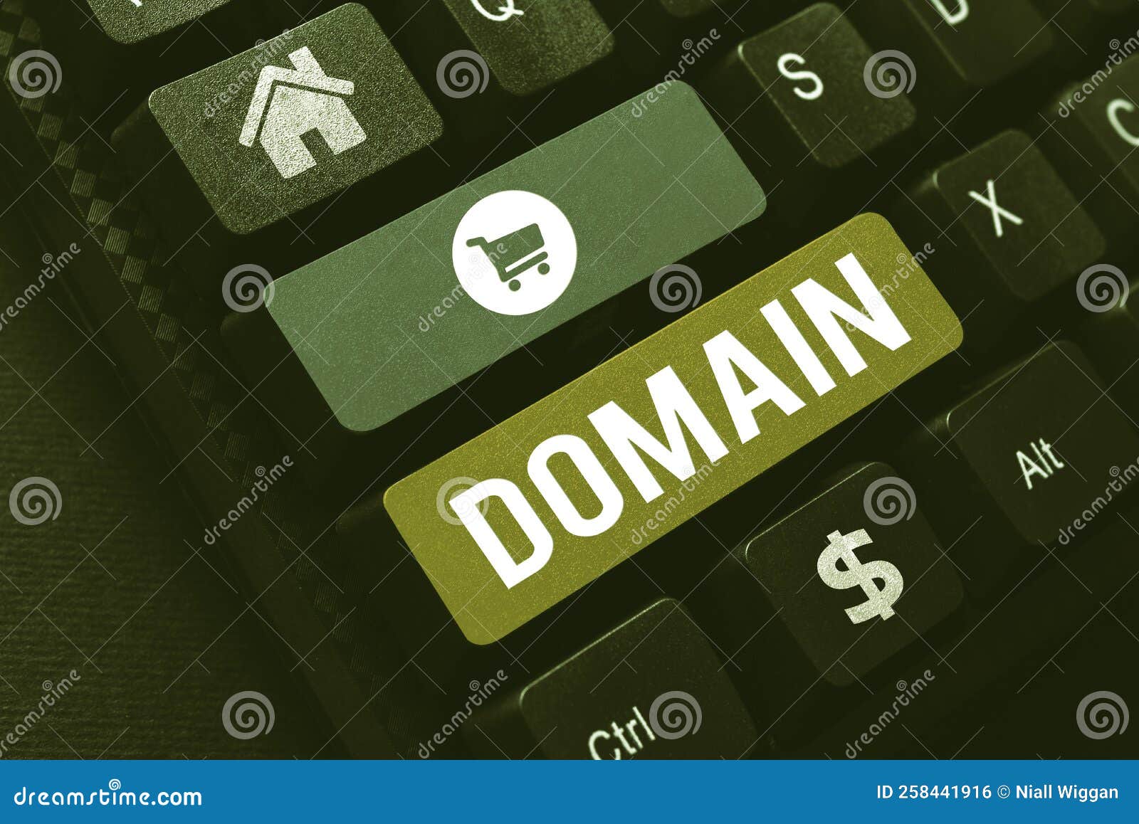 Text Sign Showing Domain. Business Approach Identification String that ...