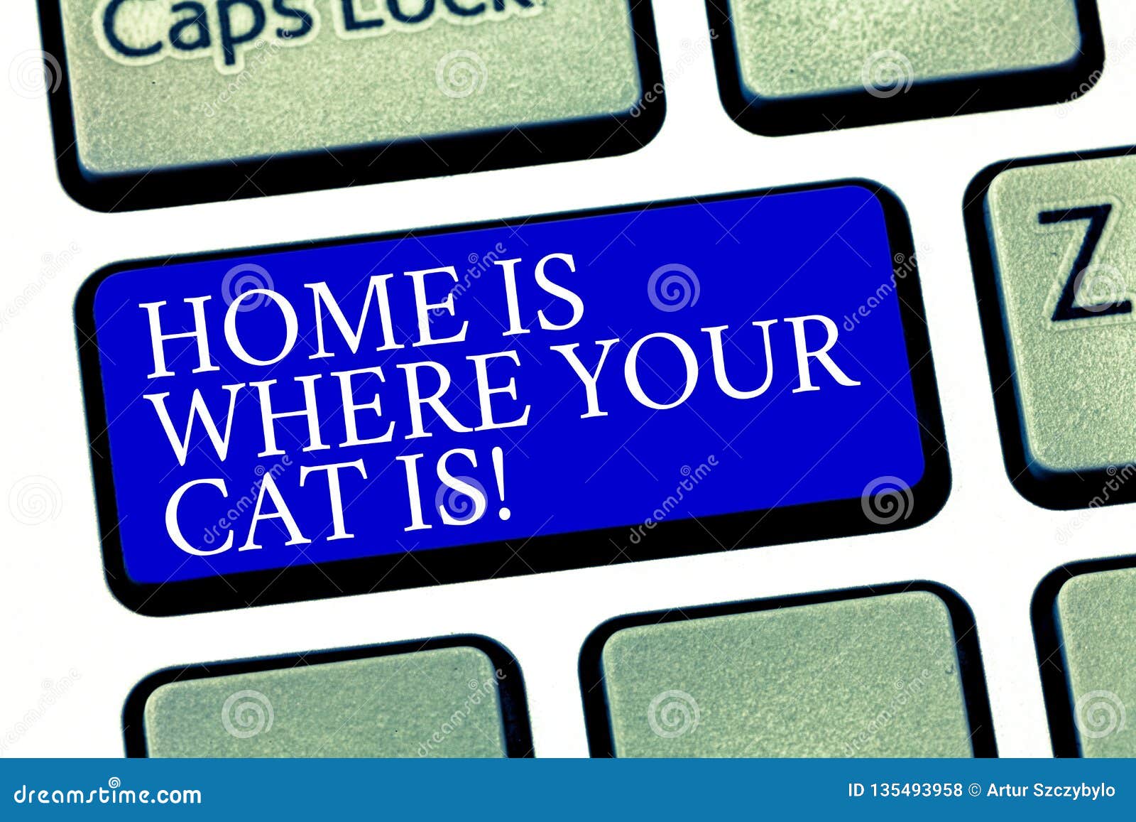 Text Sign Showing Home is Where Your Cat is. Conceptual Photo Kitten ... Text Sign Showing Home is Where Your Cat is. Conceptual Photo Kitten ...