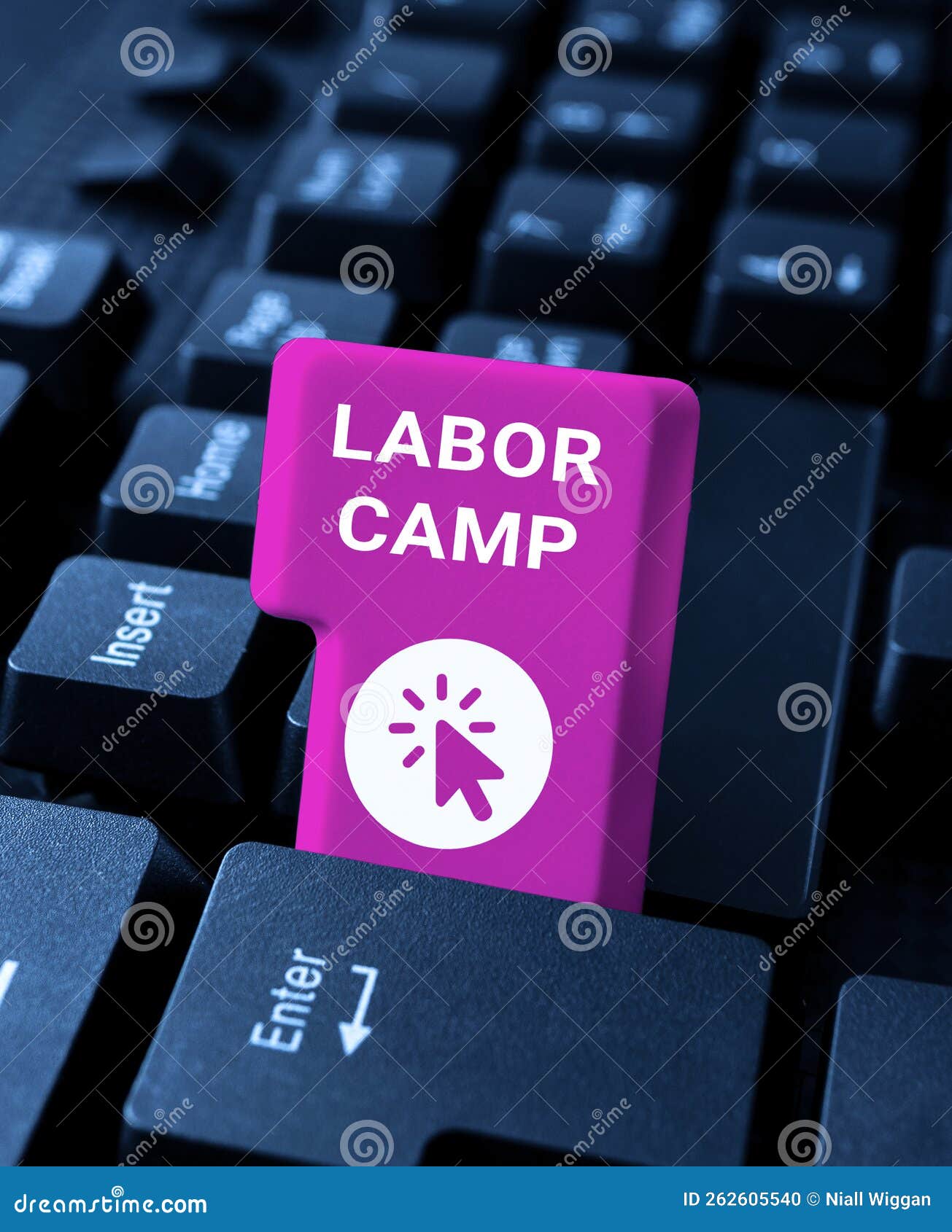 Text Sign Showing Labor Camp. Business Showcase a Penal Colony Where ... Text Sign Showing Labor Camp. Business Showcase a Penal Colony Where ...