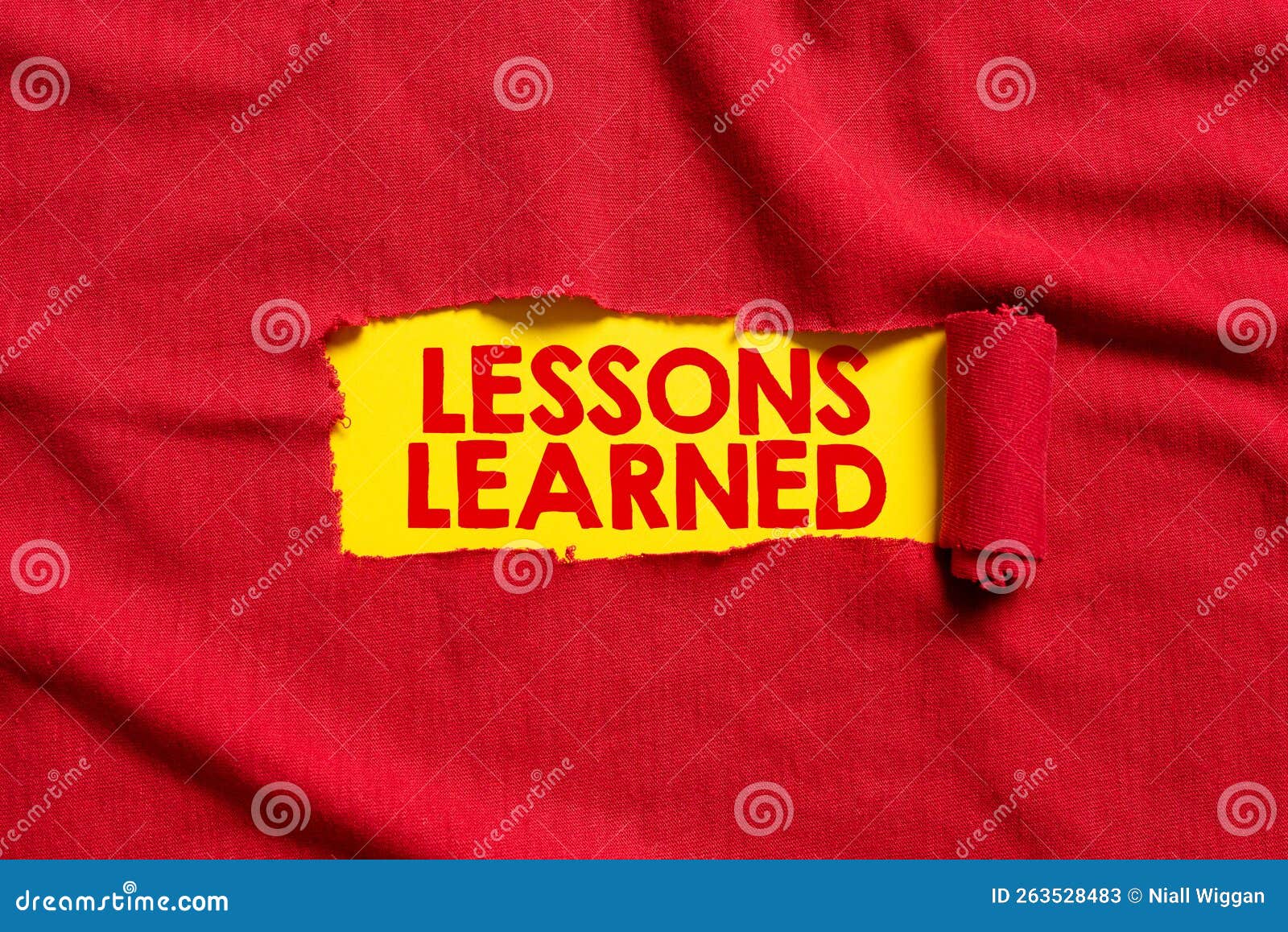 Text Sign Showing Lessons Learned. Business Idea the Knowledge or ...