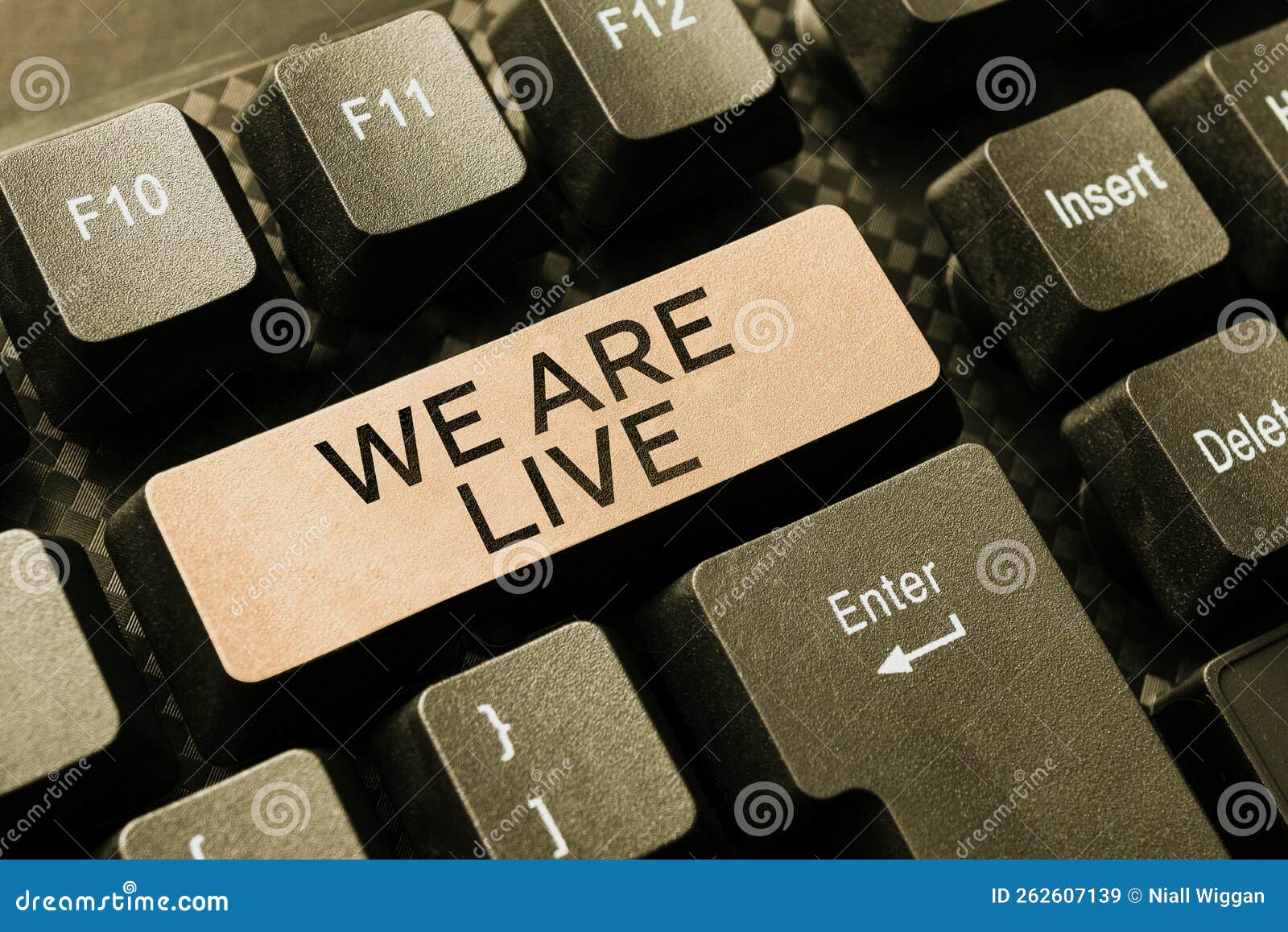 Text Sign Showing we are Live. Word Written on Continuous Report or ...