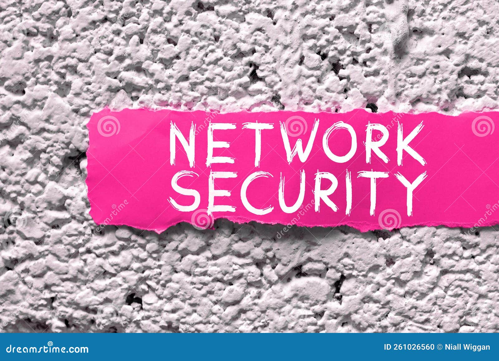 Text Sign Showing Network Security Conceptual Photo Practice Of Securing A Computer Web From