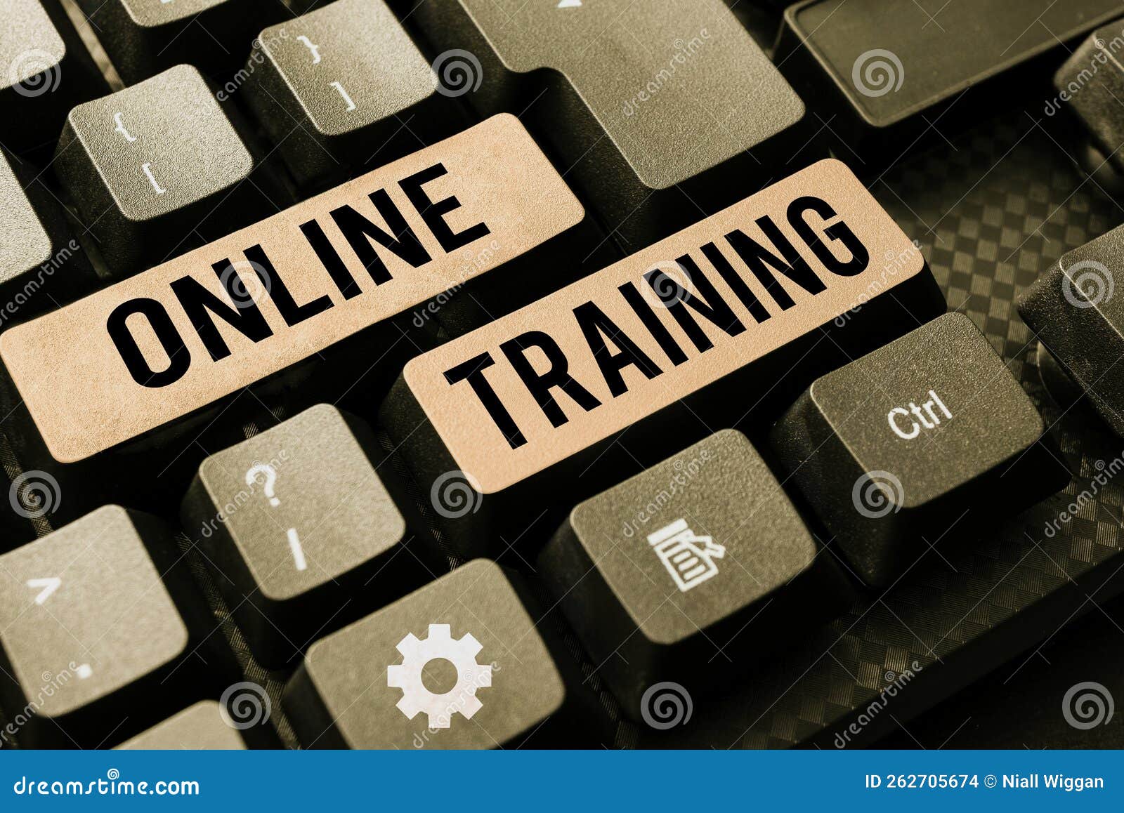 Text Sign Showing Online Training. Business Overview Computer Based ...