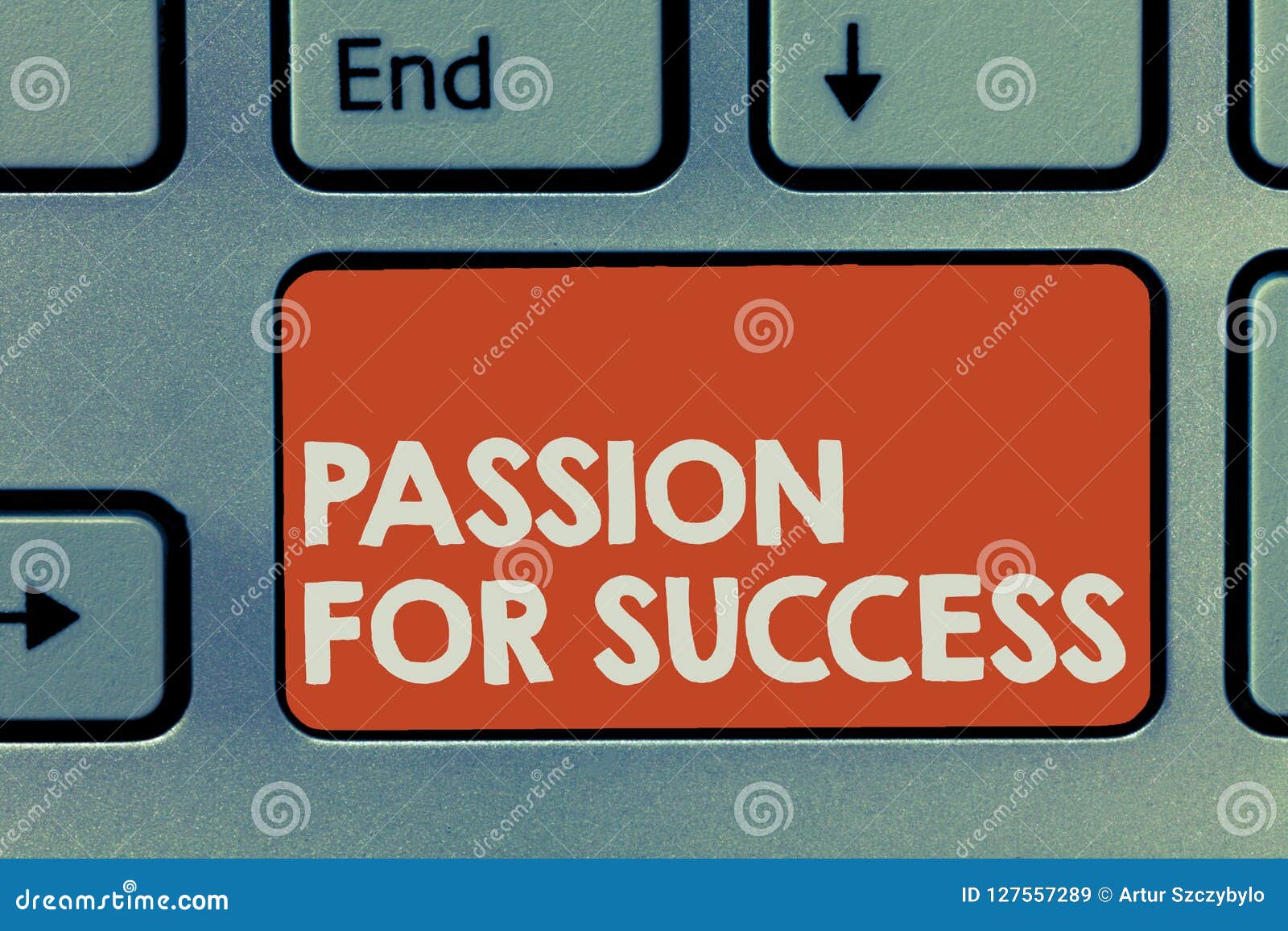 Text Sign Showing Passion for Success. Conceptual Photo Enthusiasm Zeal ... Text Sign Showing Passion for Success. Conceptual Photo Enthusiasm Zeal ...