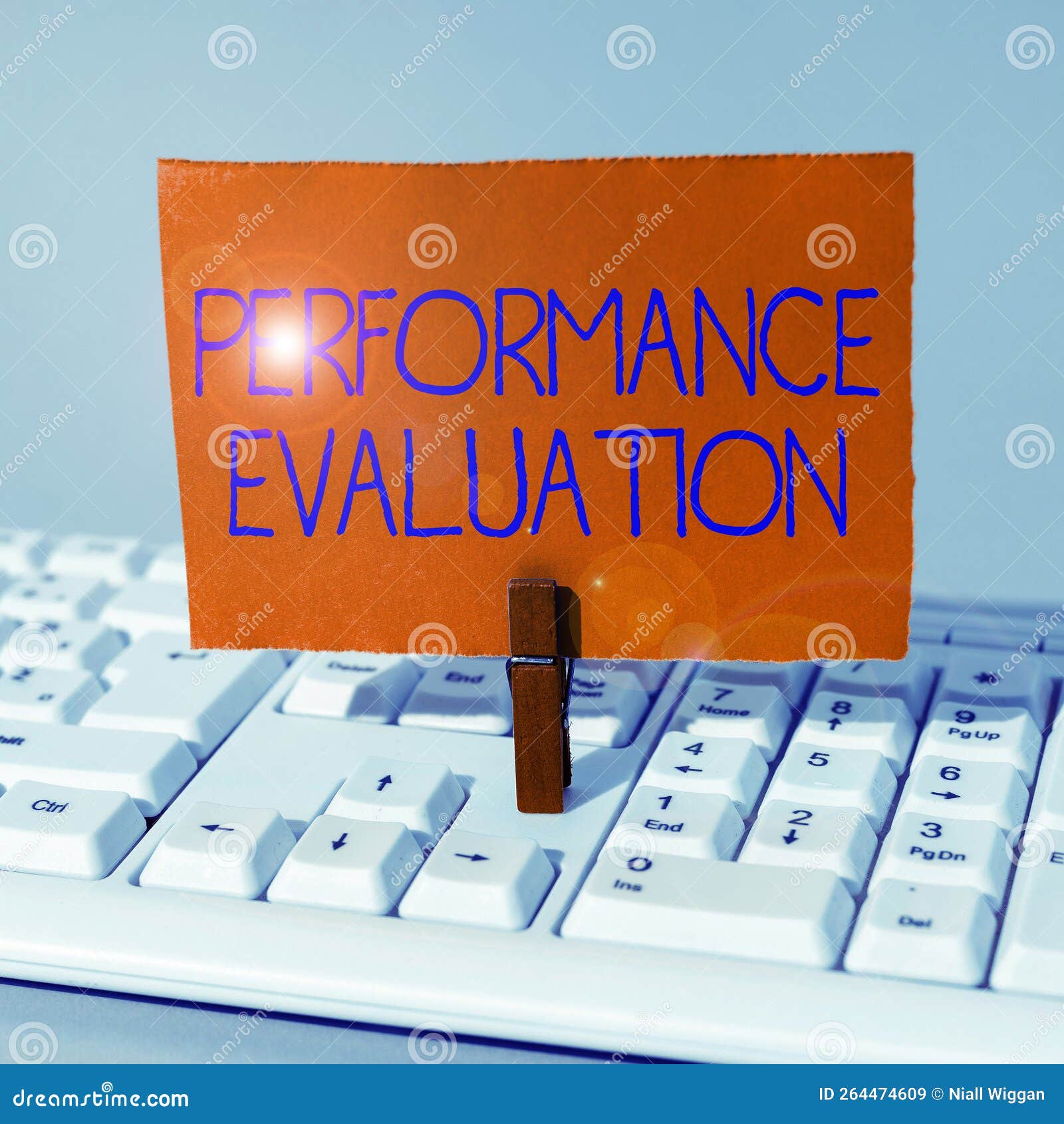 Text Showing Inspiration Performance Evaluation. Business Overview the ...