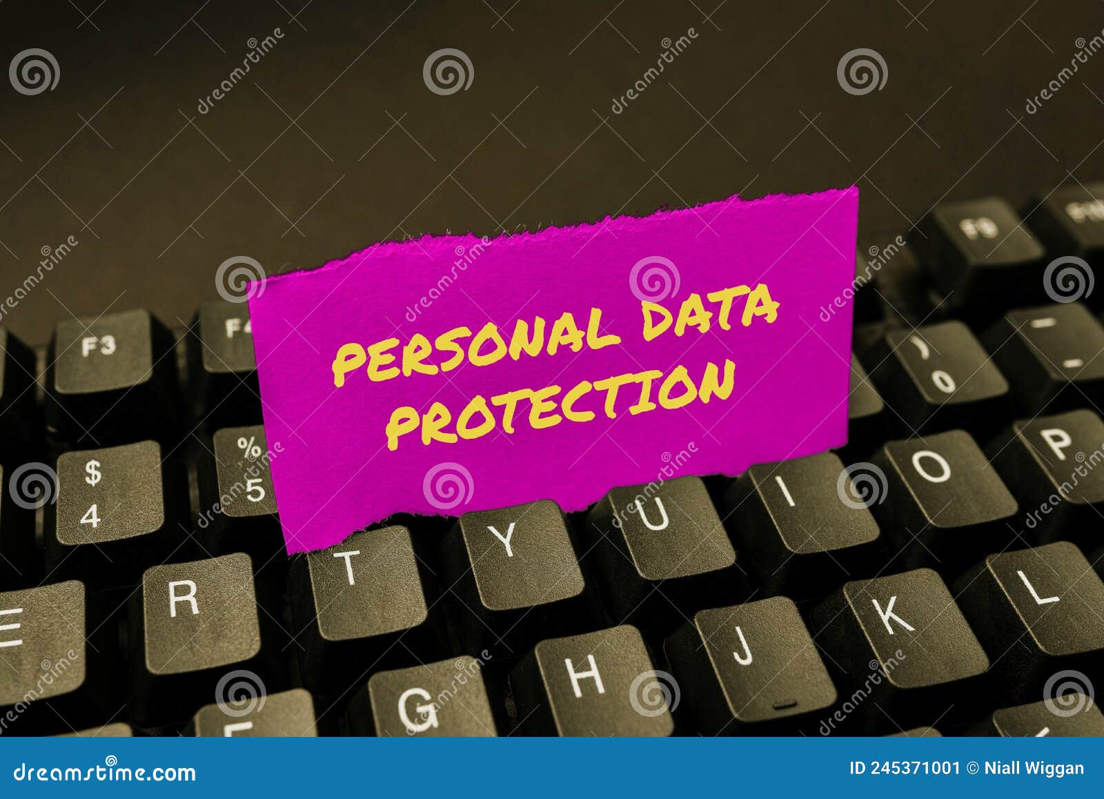 Text Sign Showing Personal Data Protection. Word for Protecting and ...