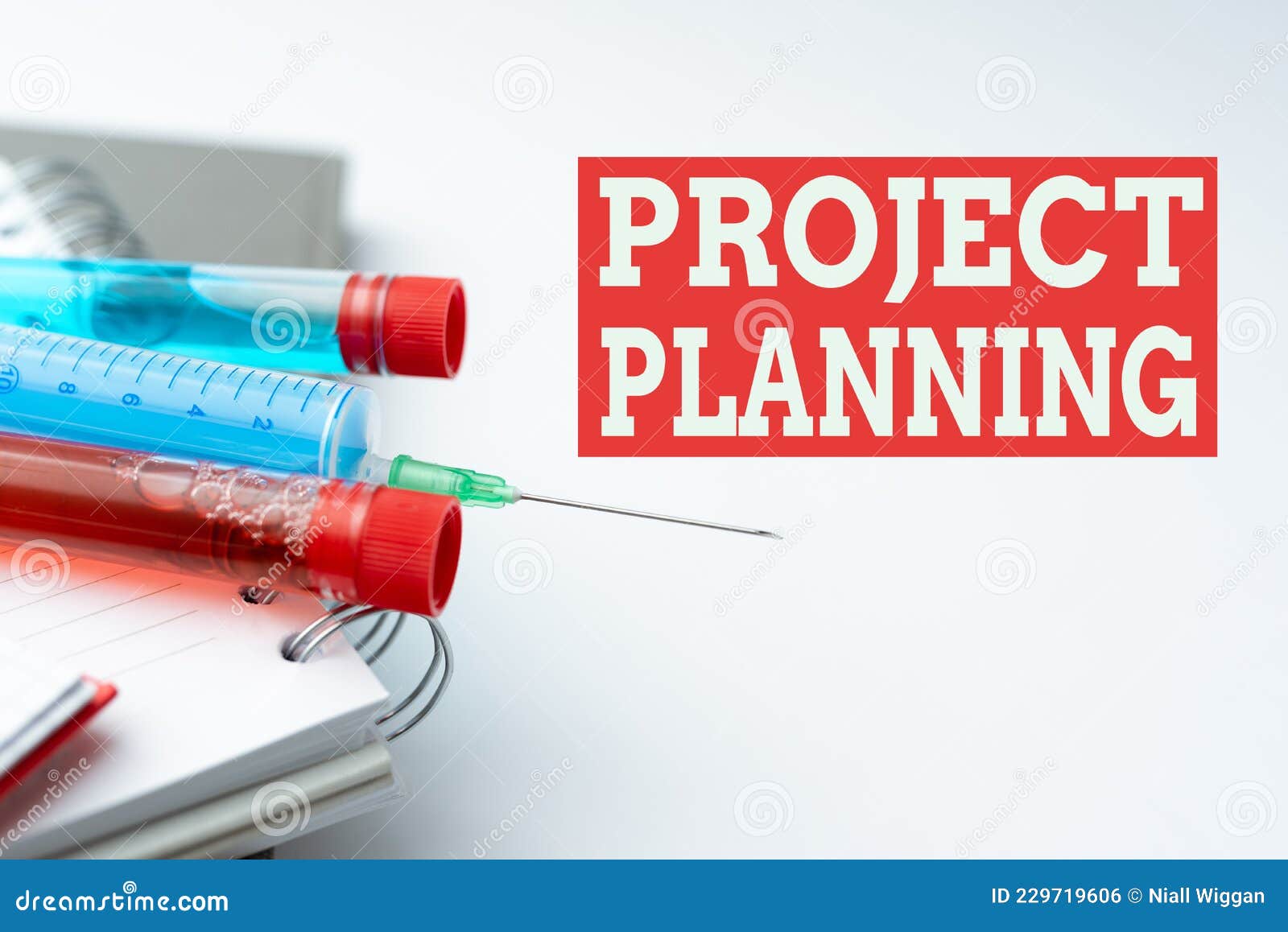Text Sign Showing Project Planning. Business Overview Plan and ...