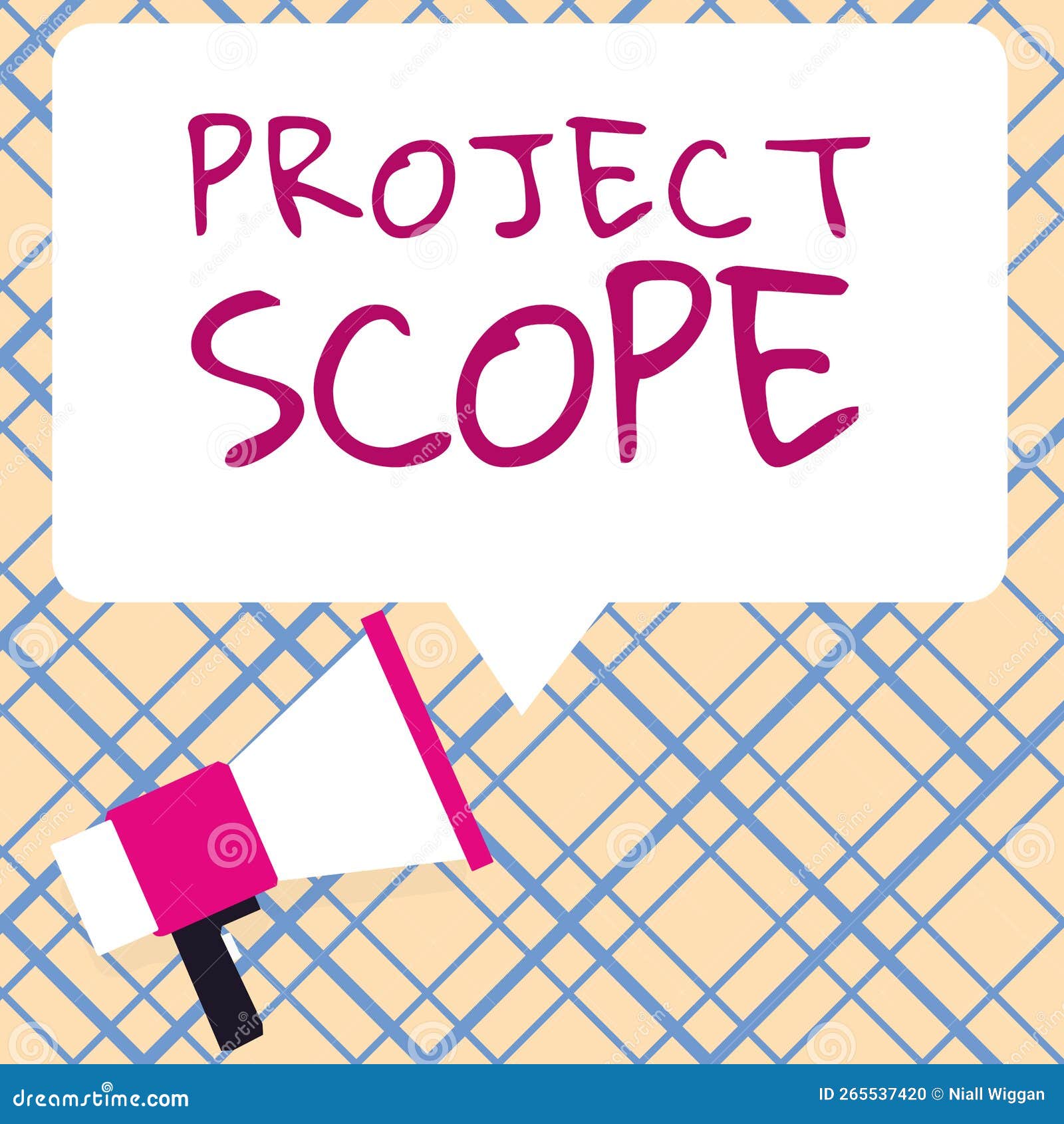 Text Sign Showing Project Scope. Business Showcase Evaluation of Work ...