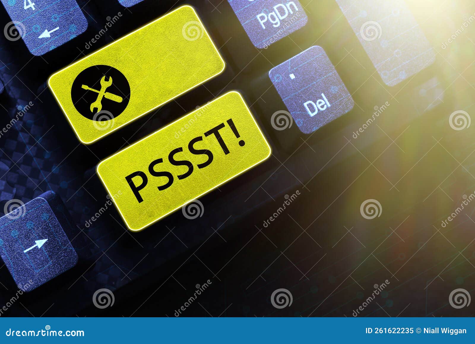 Text Sign Showing Pssst. Word Written on Expression Way To Attract ... Text Sign Showing Pssst. Word Written on Expression Way To Attract ...