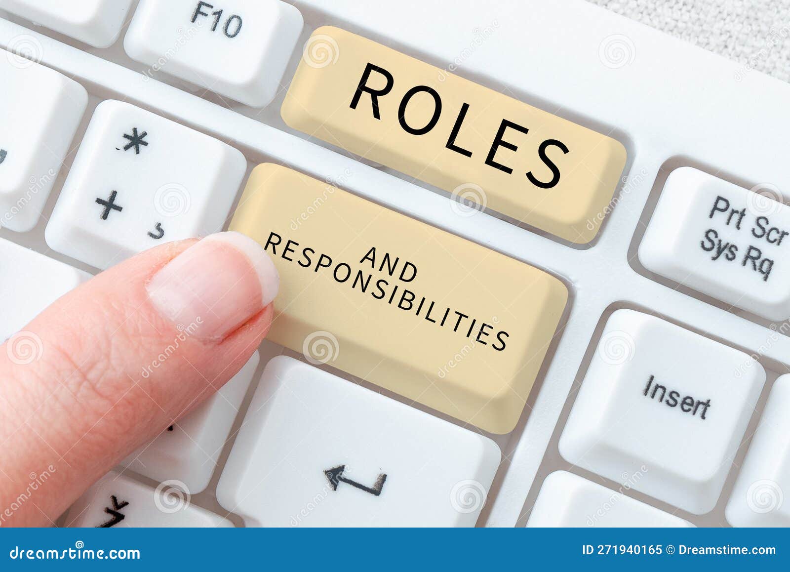 Text Sign Showing Roles and Responsibilities. Business Overview ... Text Sign Showing Roles and Responsibilities. Business Overview ...