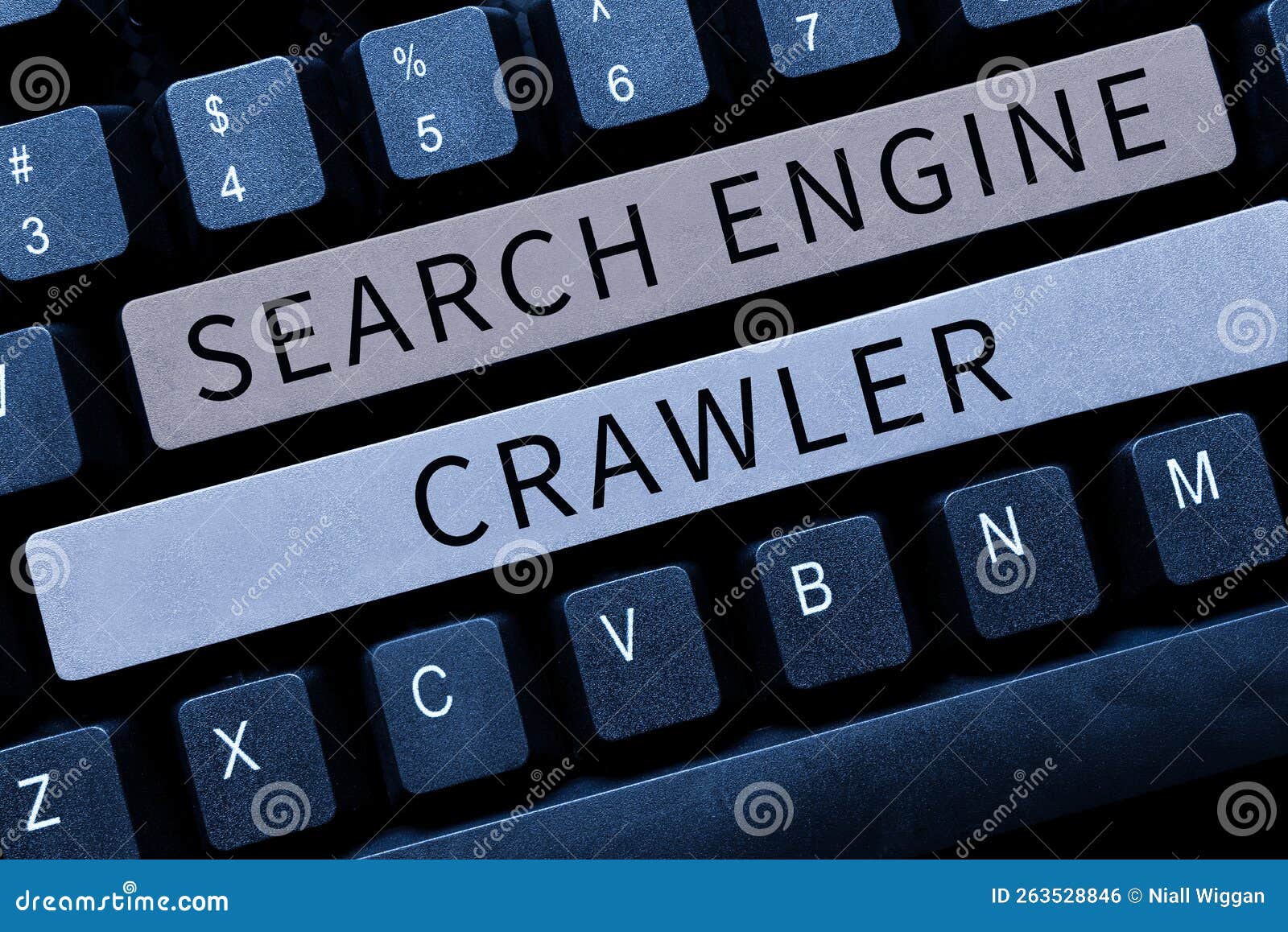 Conceptual Caption Search Engine Crawler Business Concept Program Or Automated Script That