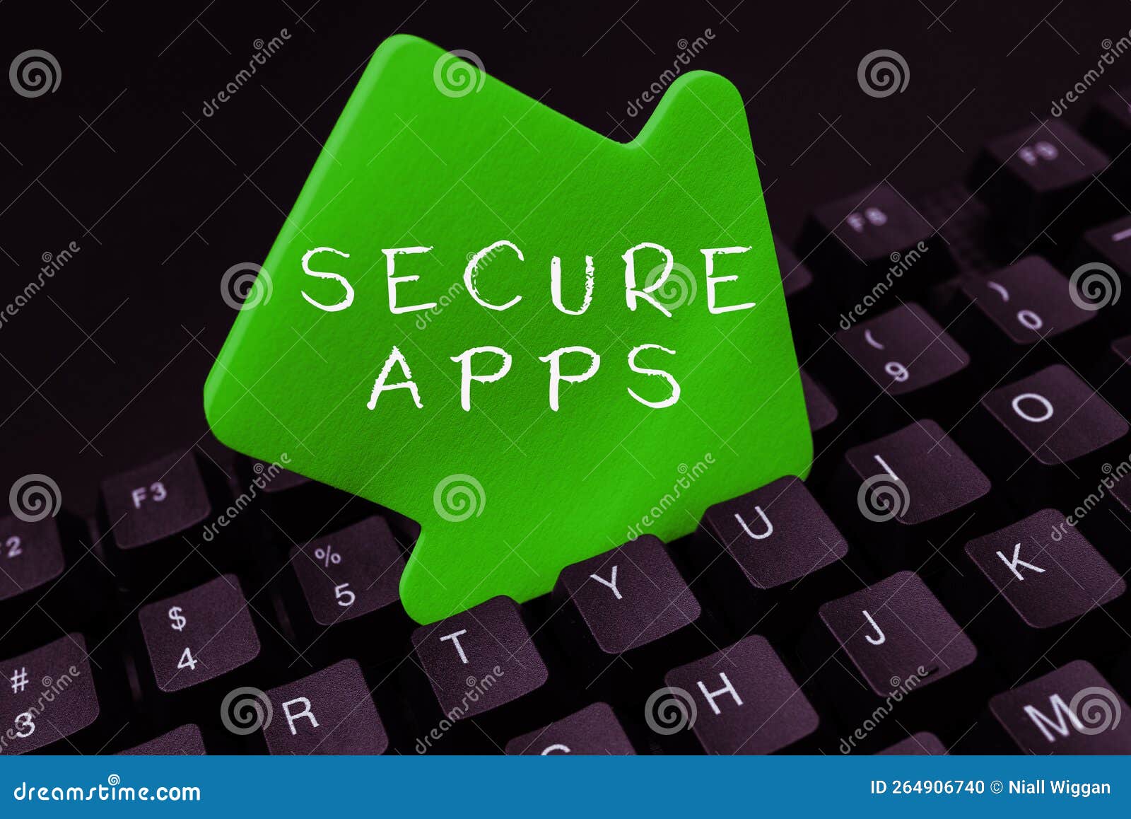 Text Sign Showing Secure Apps. Business Idea Protect the Device and Its ...