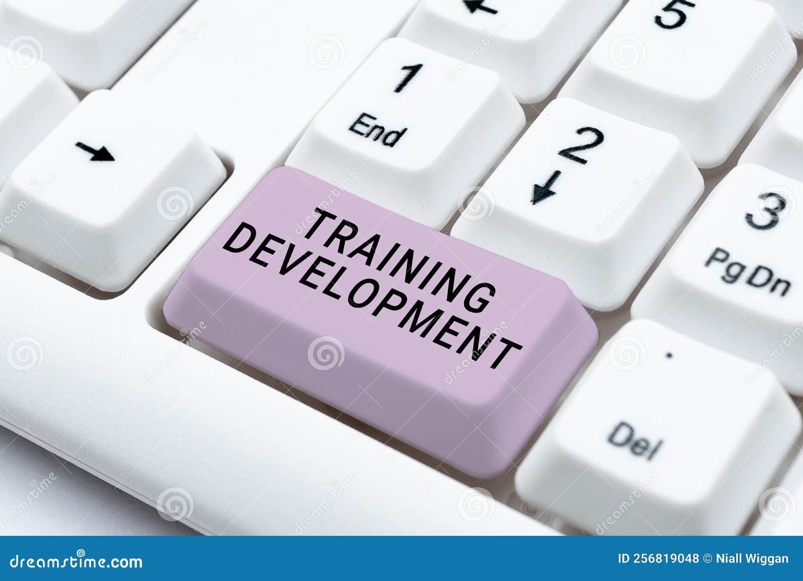 Text Sign Showing Training Development. Word for Learn and Expand ...